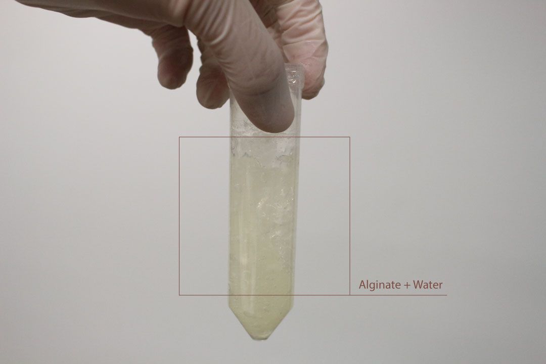 Create Bio-yarn : 8 Steps (with Pictures) - Instructables