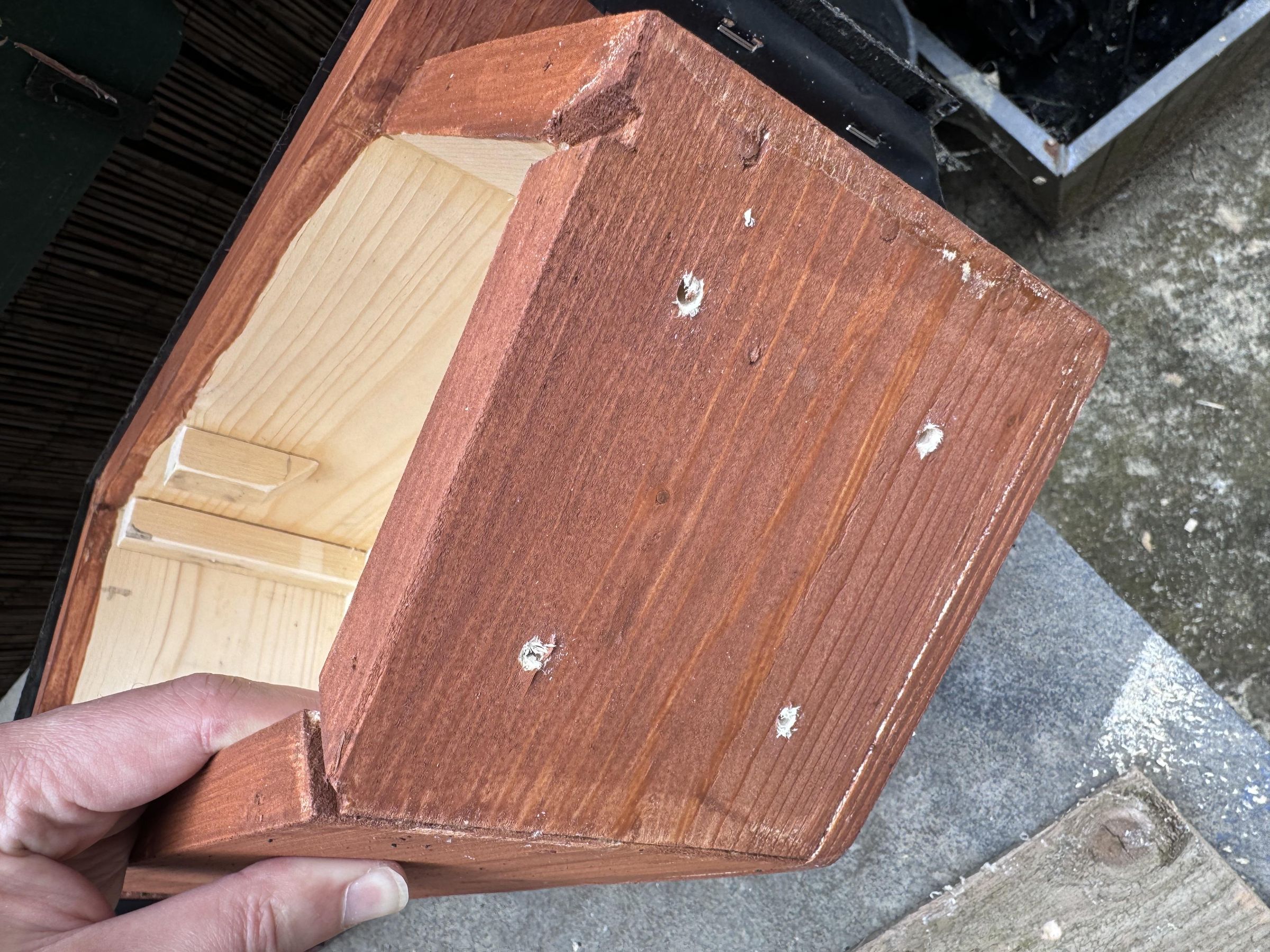 Side View Bird Box Camera and BlueTit Diary : 70 Steps (with Pictures ...