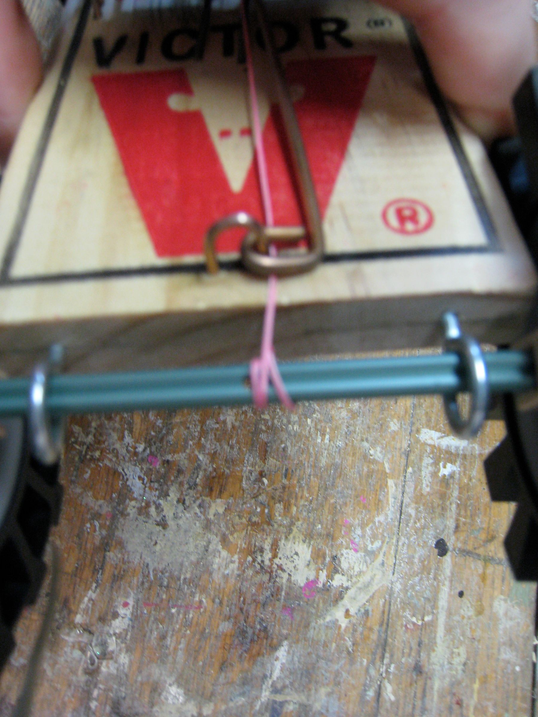 Rat Trap Car : 7 Steps - Instructables