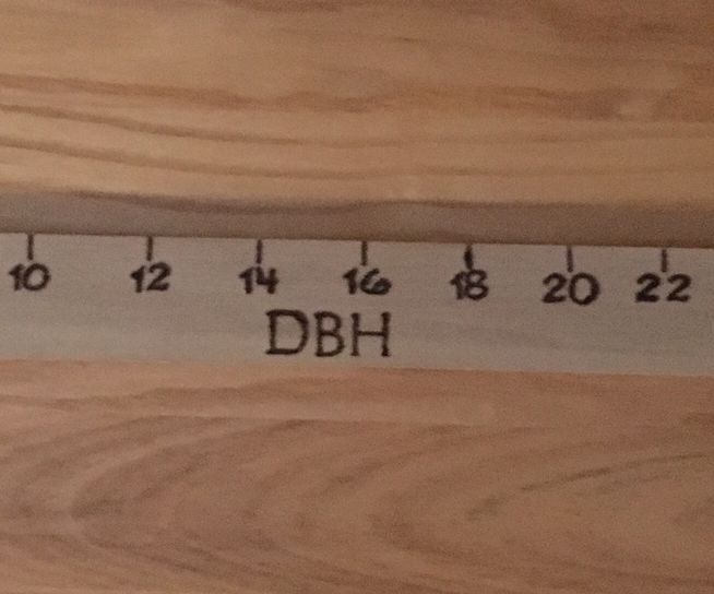 Tree Measurement: Biltmore Sticks : 5 Steps - Instructables