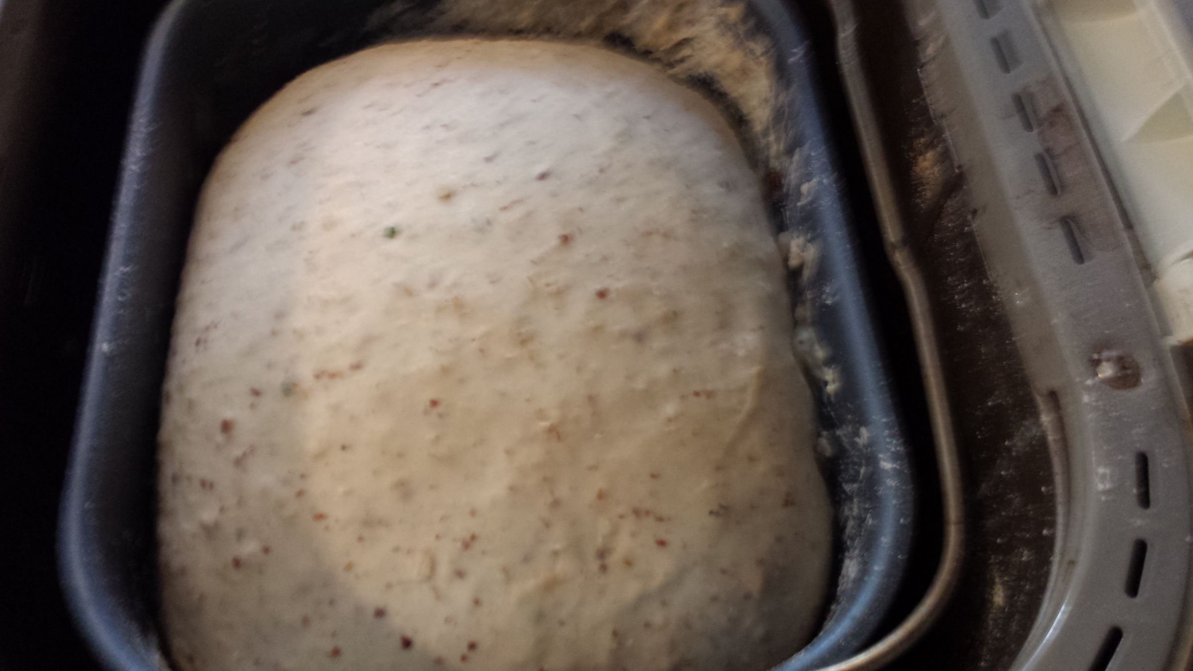 Homemade PIZZA DOUGH OF POWER: Bubba Bread Recipe (with Pictures ...