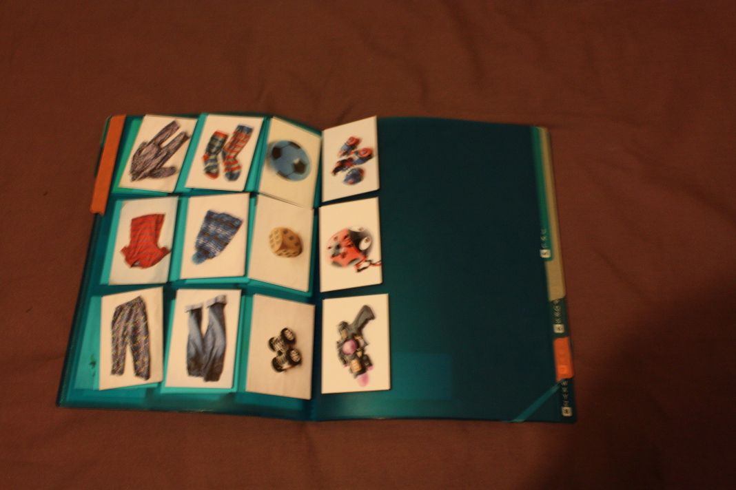 Flashcard Picture Book for Toddlers - SALT Resources : 6 Steps (with ...