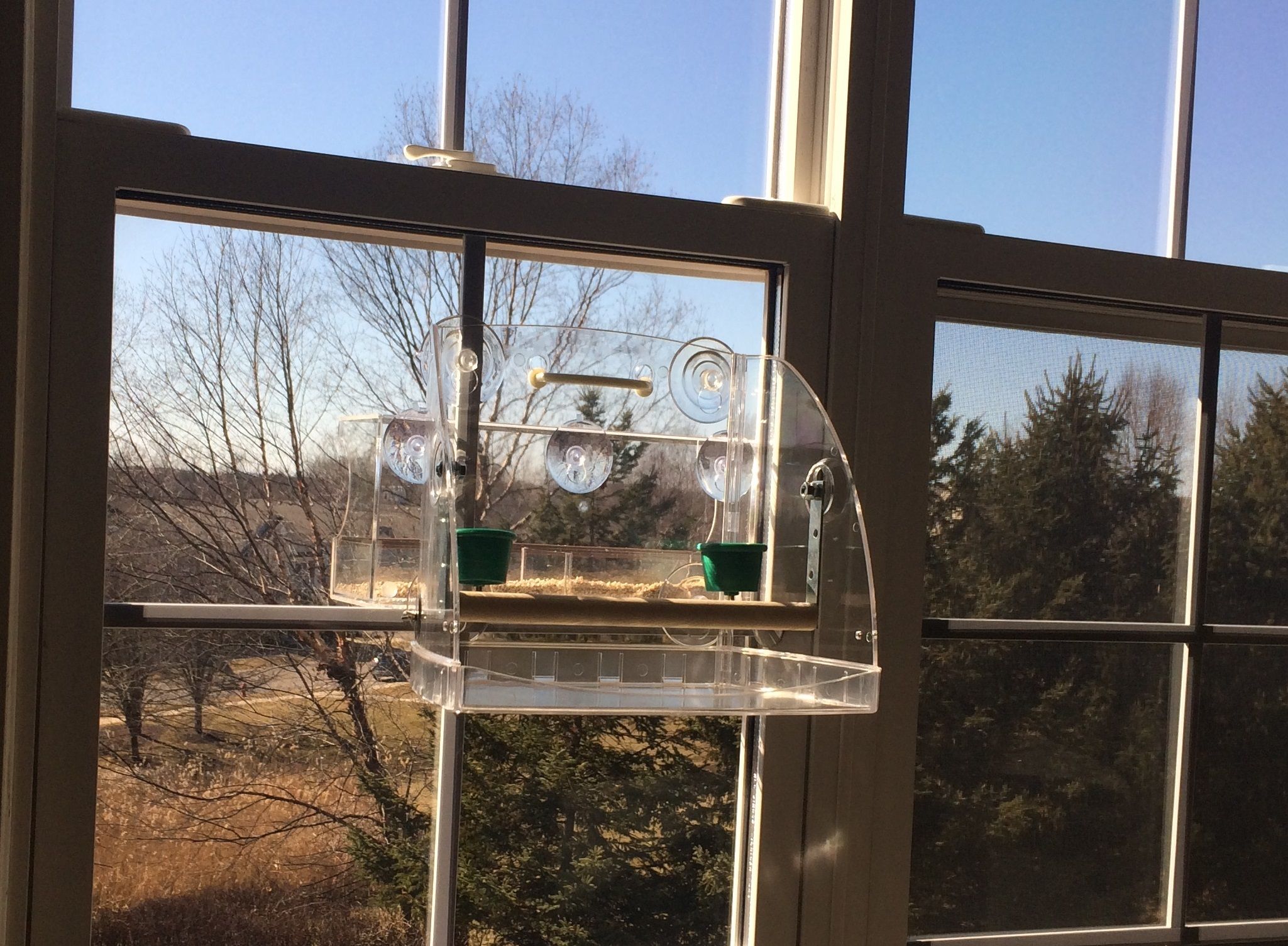 Bird Window Play Center Perch Modification for Larger Bird - Instructables