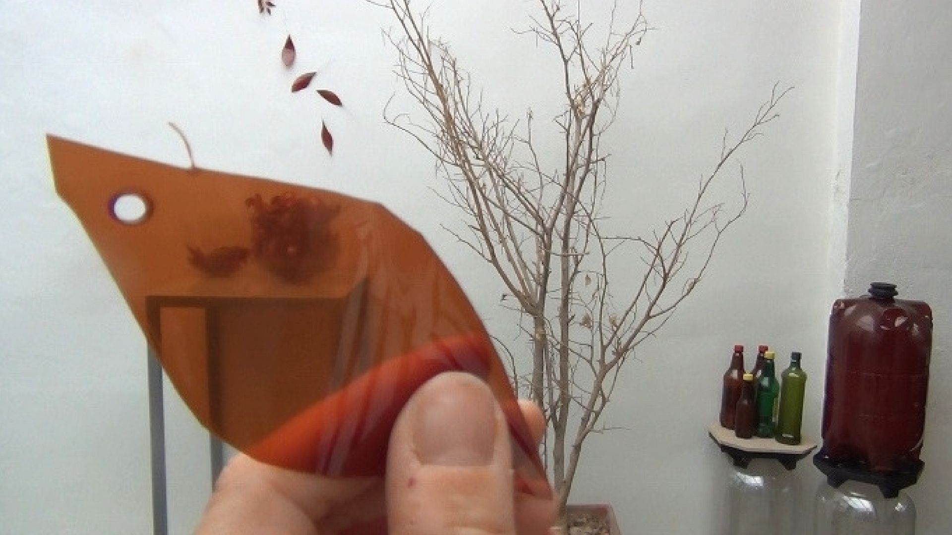 Tree Made Out of Recycled Plastic Bottles : 7 Steps (with Pictures ...