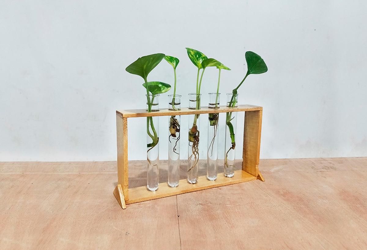 Test Tube Planter | Propagation Station : 9 Steps (with Pictures ...