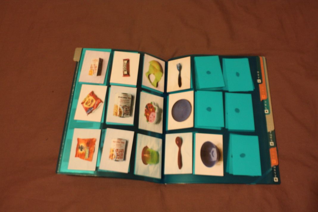 Flashcard Picture Book for Toddlers - SALT Resources : 6 Steps (with ...