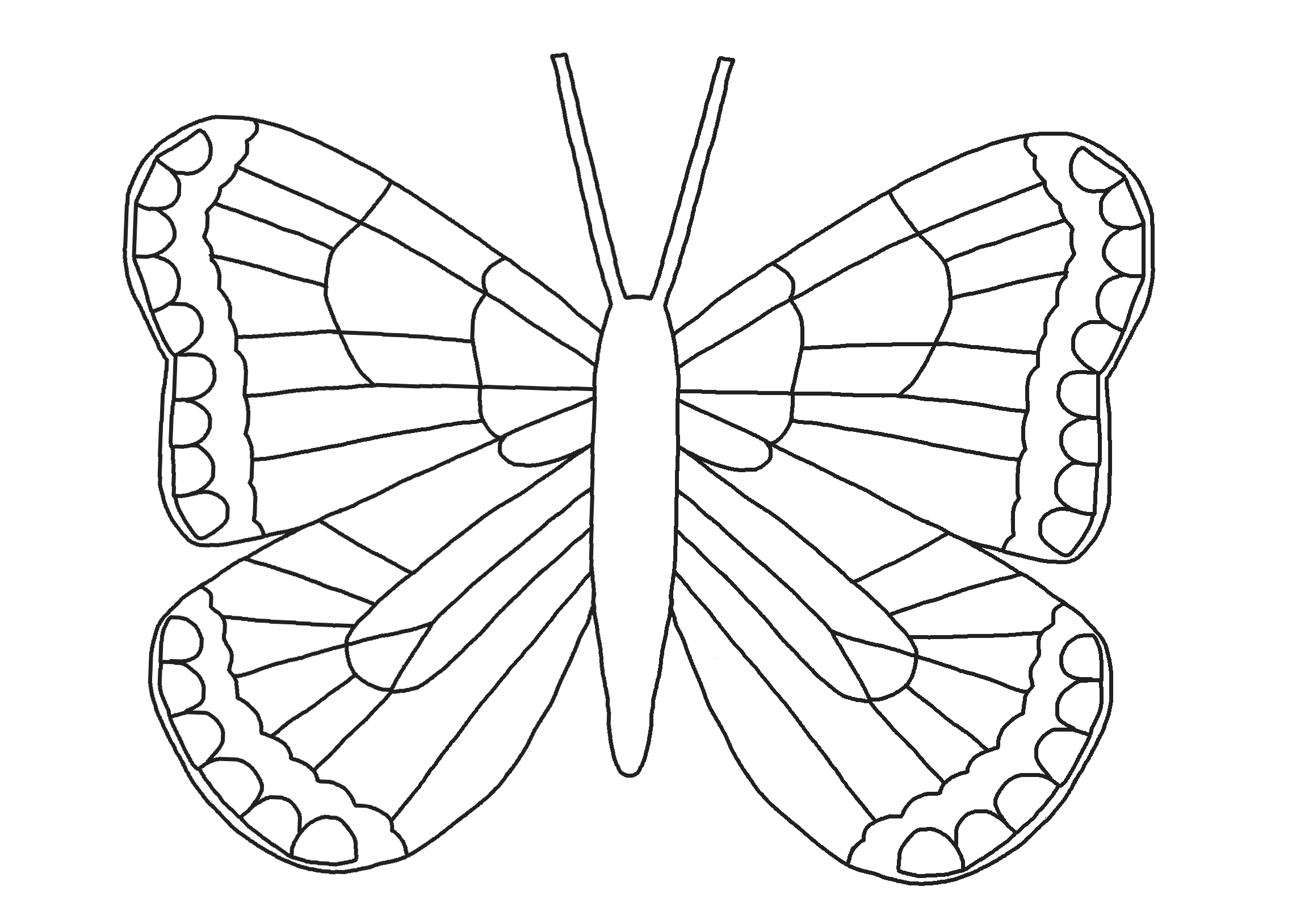How to Quill a BUTTERFLY | Design Your Own Butterfly Quilling Pattern ...