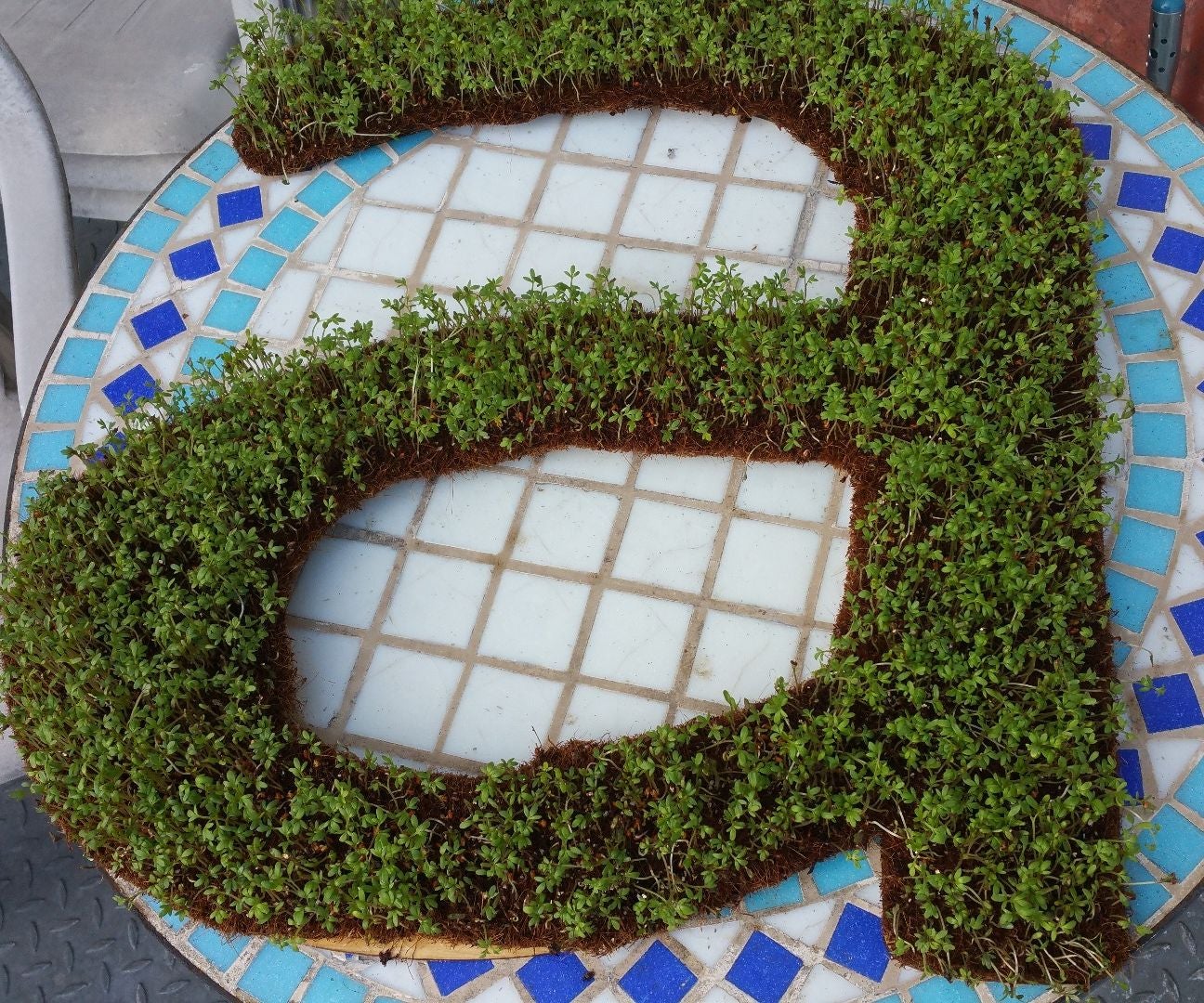 Green Growing Letters : 6 Steps (with Pictures) - Instructables