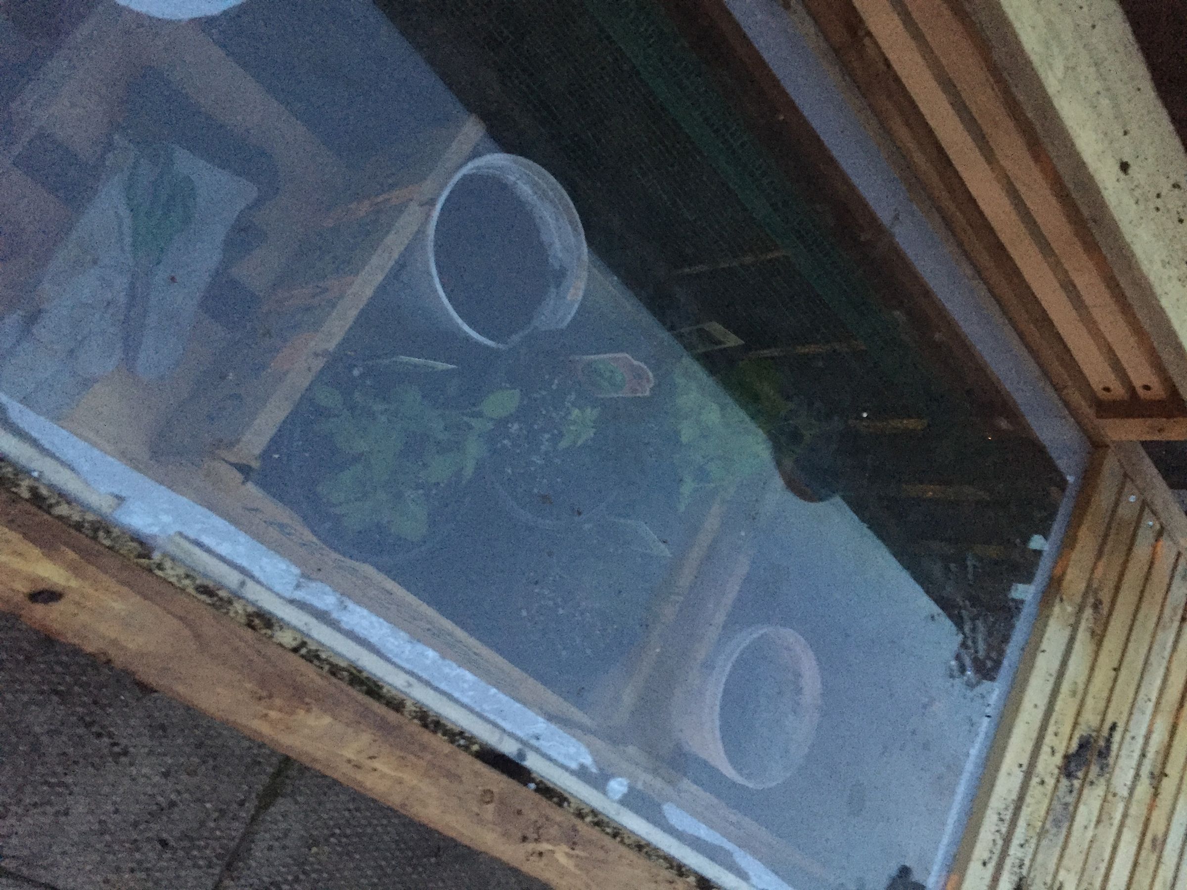 Planting Bench With Protected Growing Station : 3 Steps (with Pictures ...