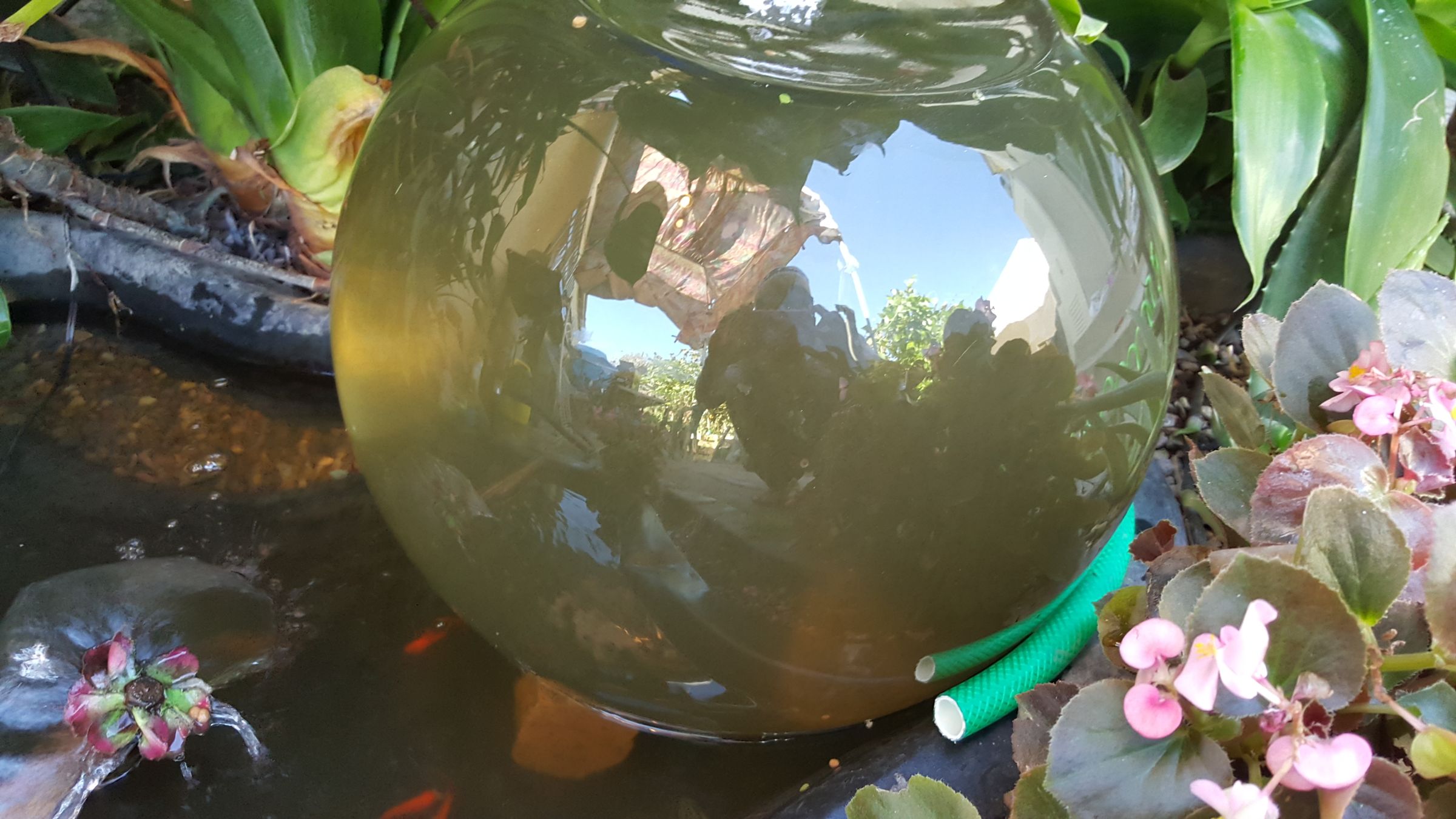 Pond Bottomless Observatory Tower : 5 Steps - Instructables