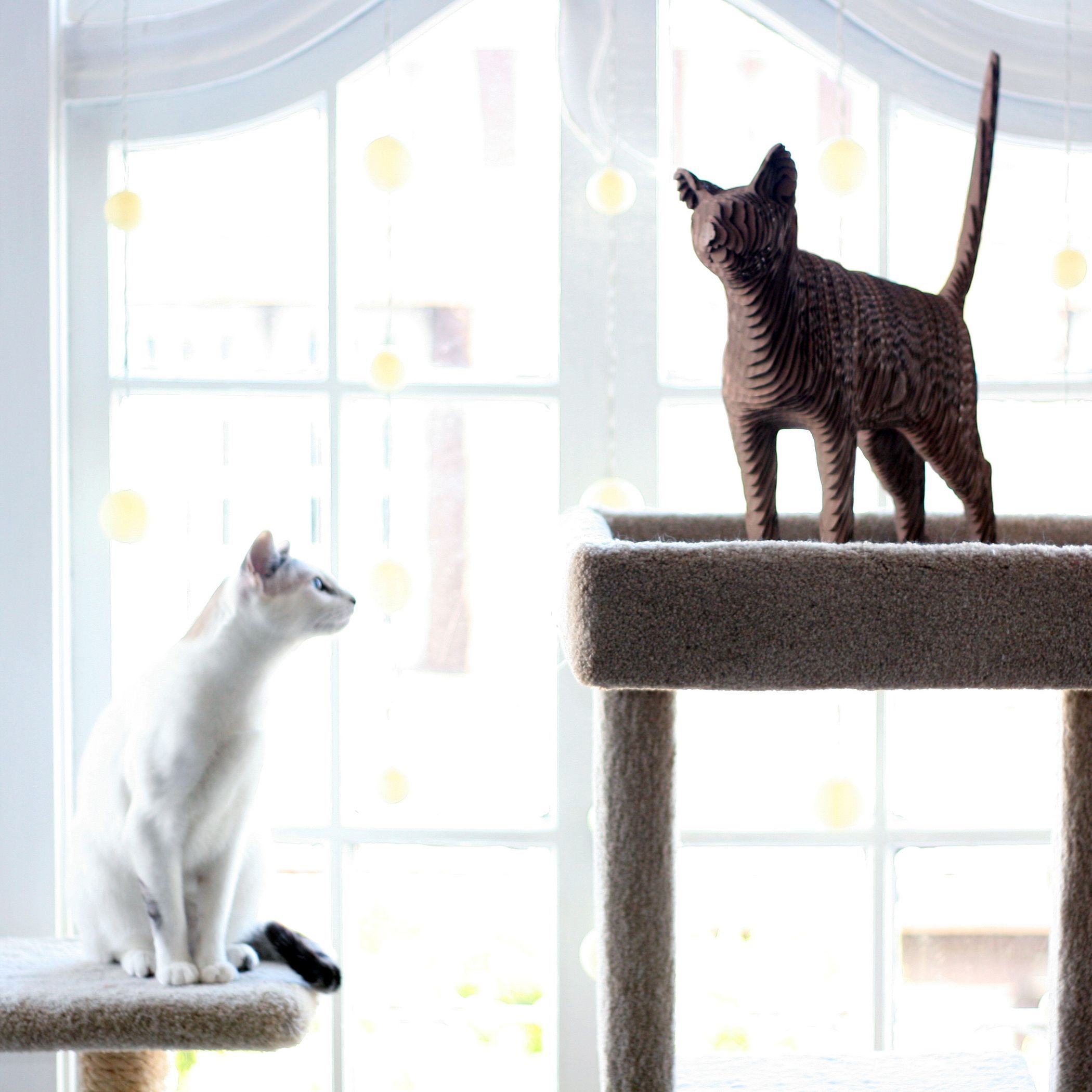 Life Size Cardboard Cat : 3 Steps (with Pictures) - Instructables