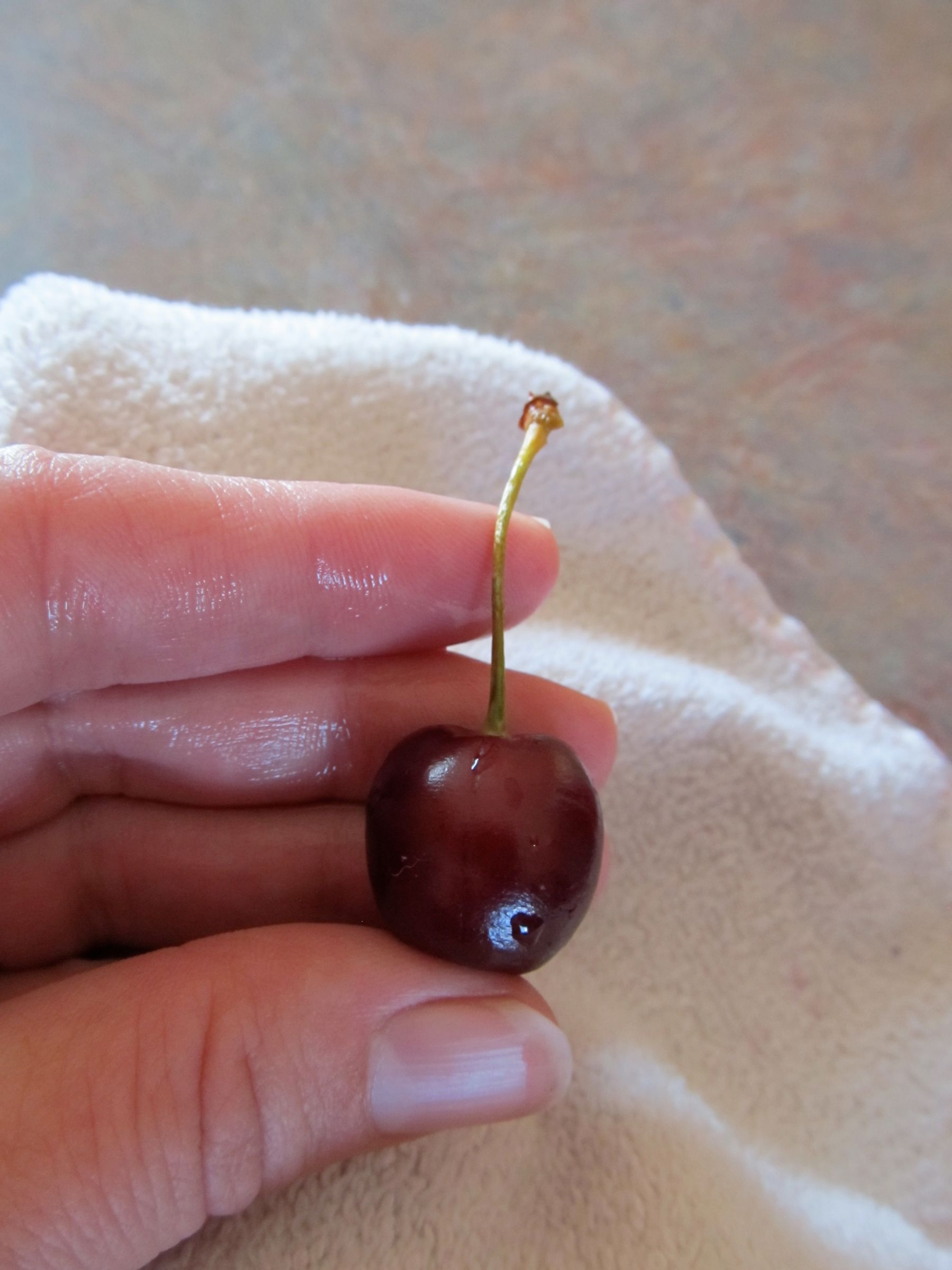 How to Pit a Cherry & Keep the Stem. : 3 Steps (with Pictures ...