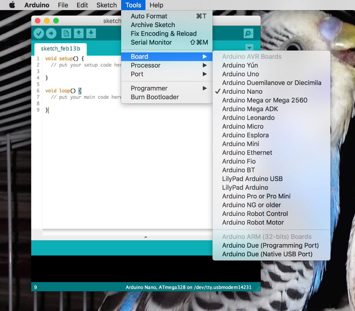 Programming Arduino With Another Arduino : 3 Steps - Instructables