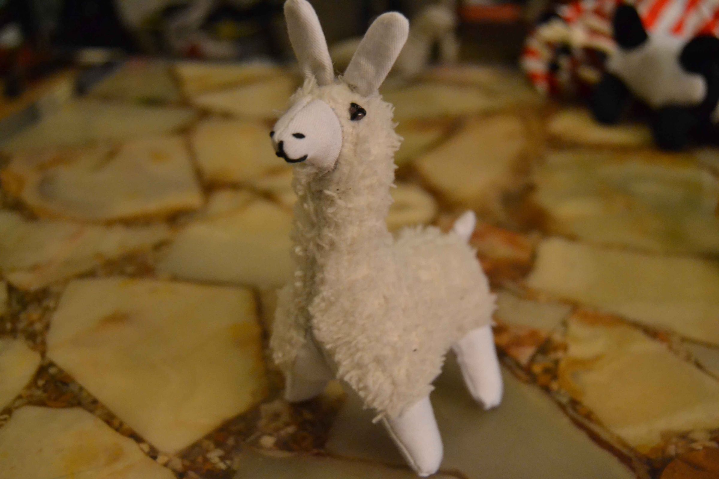A Little Zoo for Kids : 10 Steps (with Pictures) - Instructables