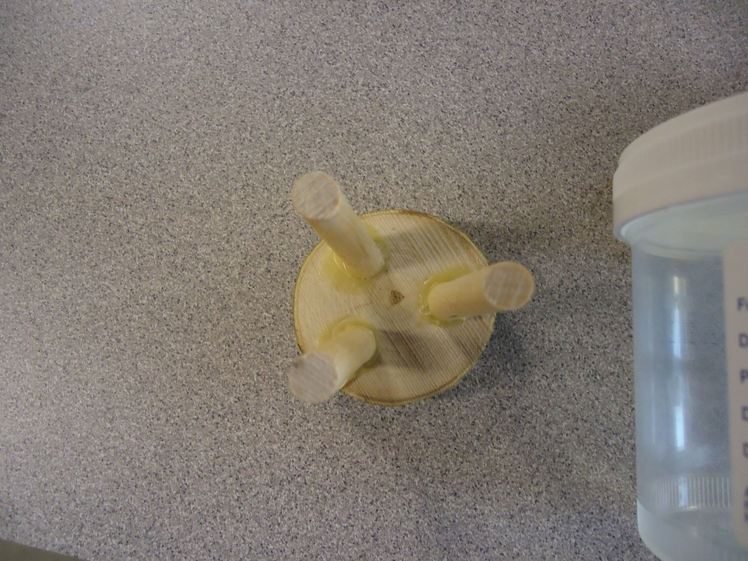 "Stool" Sample Gag Gift : 3 Steps (with Pictures) - Instructables