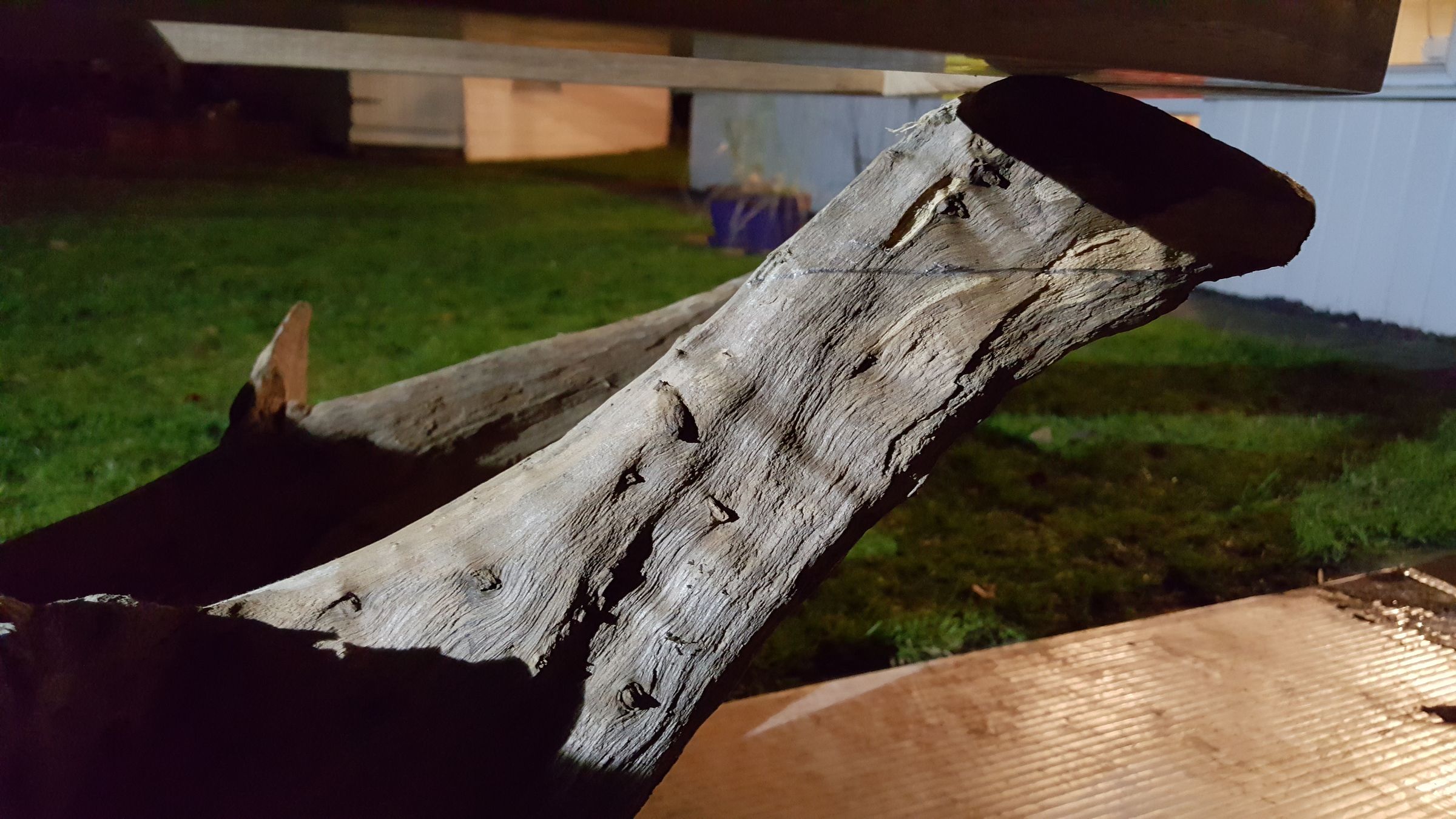 Tree Root Table With Custom Glass Top and Underlight : 10 Steps (with ...