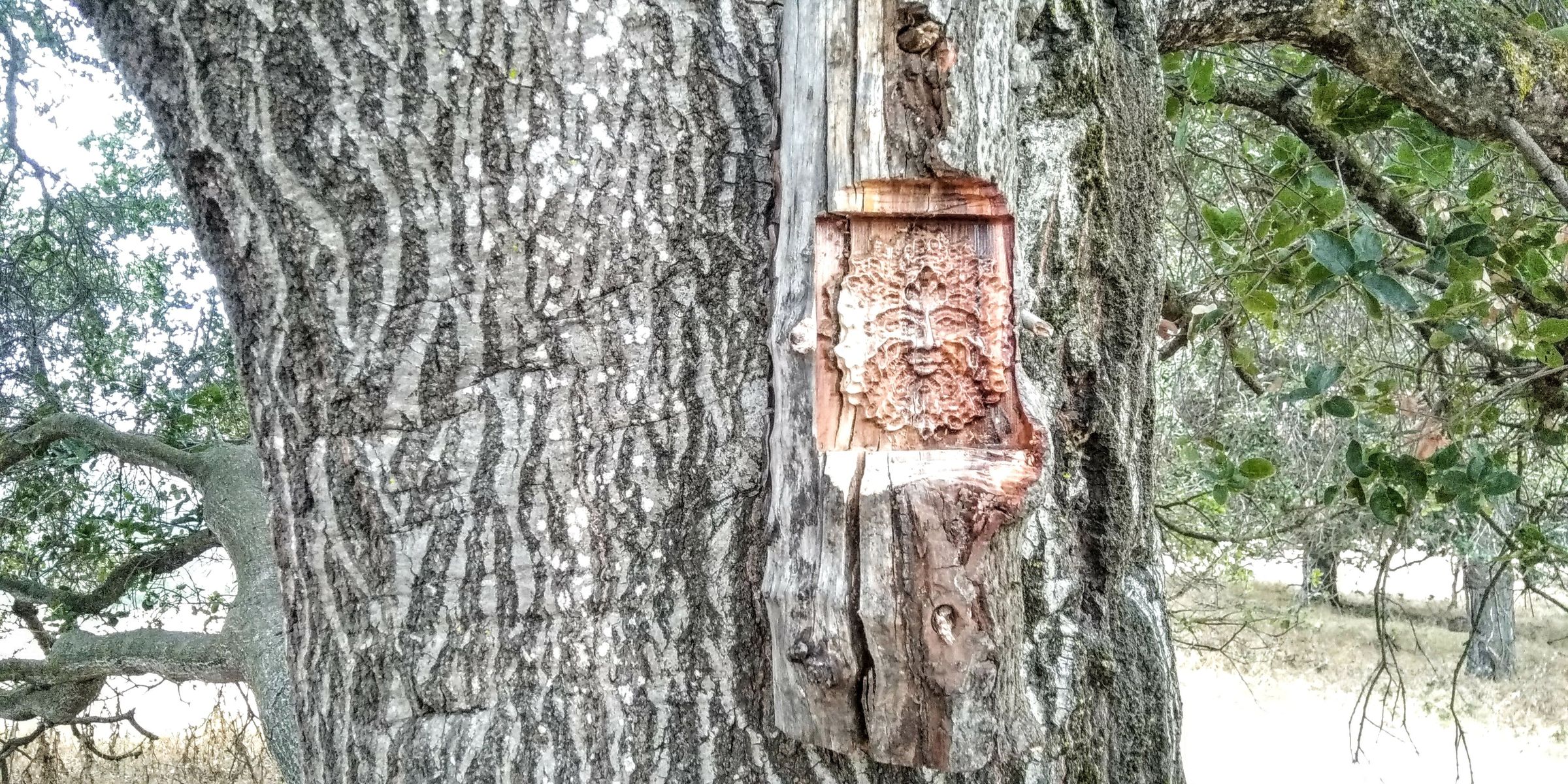 CNC Log Carving : 5 Steps (with Pictures) - Instructables