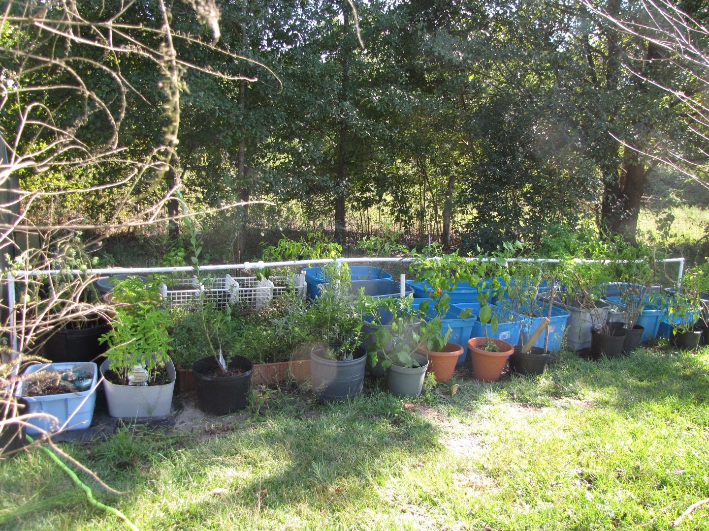 Fast and Easy, PVC Garden Watering System (for Under $70) : 7 Steps ...