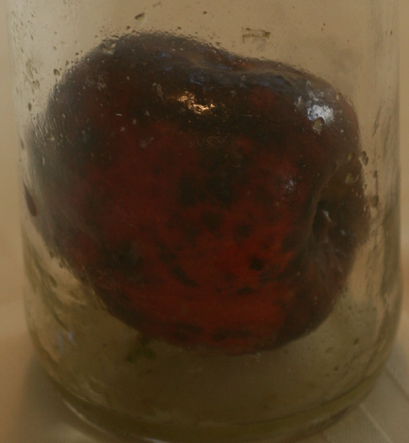 How to Bottle a Fruit : 6 Steps - Instructables