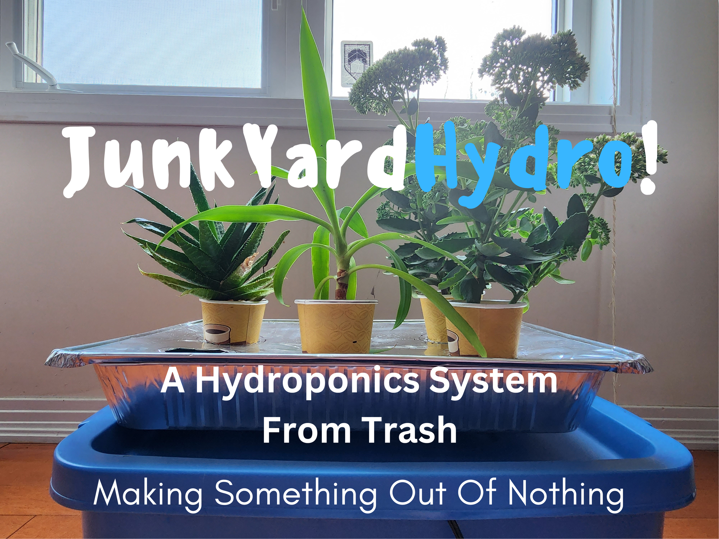 JunkyardHydro - a Modular Ebb and Flow DIY Hydroponics System : 15 Steps (with Pictures ...