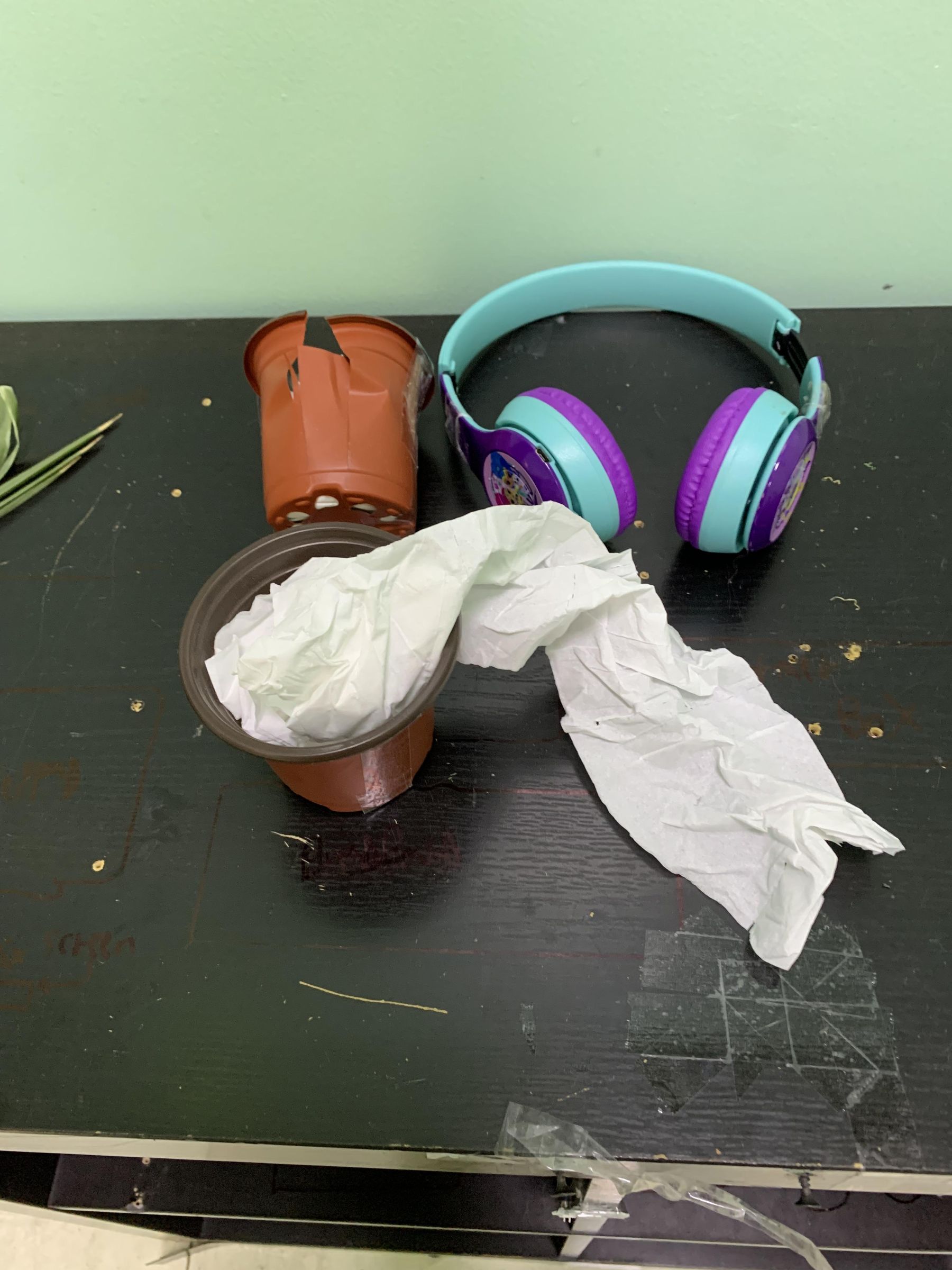 Nature Headphones : 5 Steps - Instructables