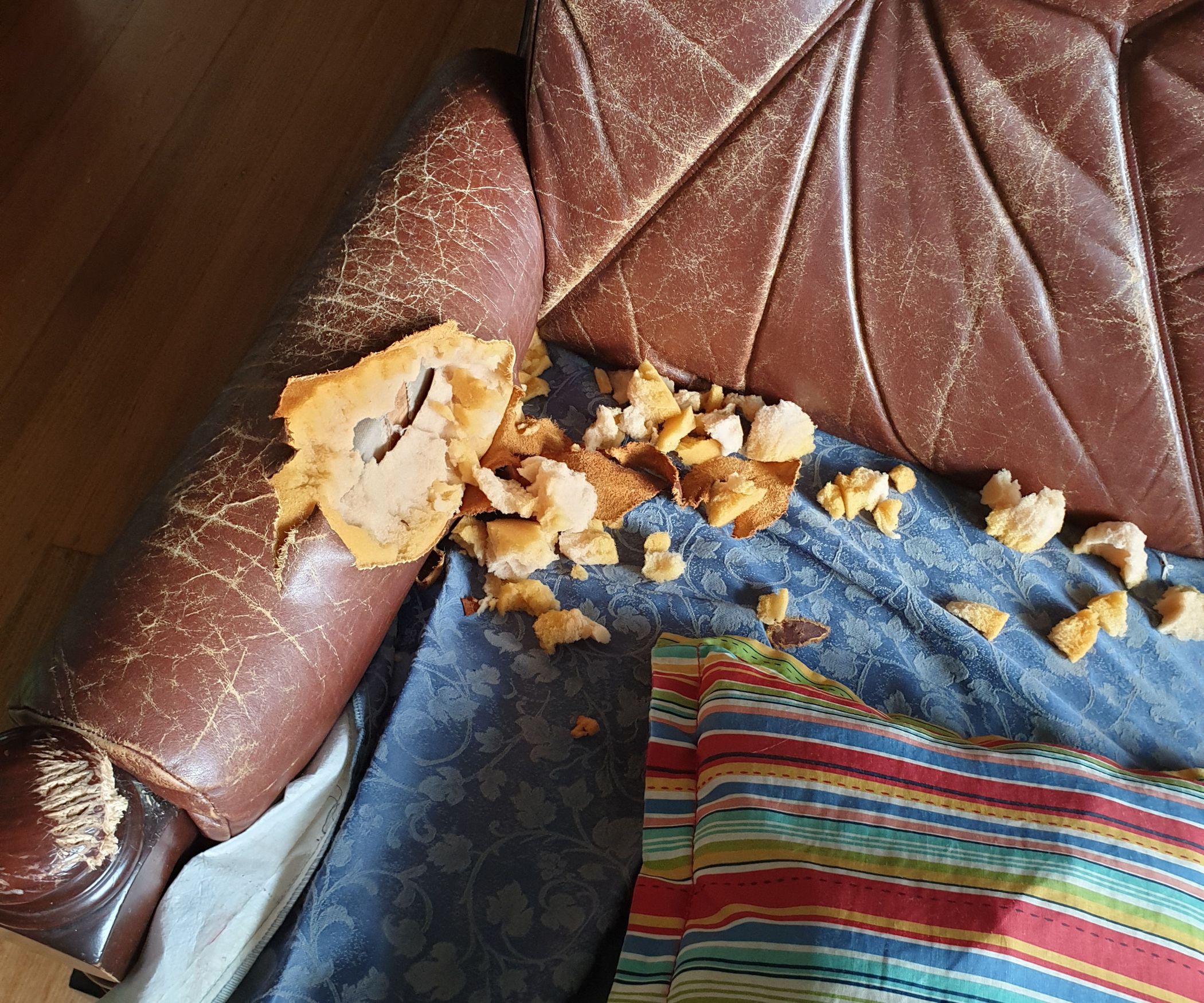Repair a Damaged Leather Couch Cheaply & Easily : 4 Steps - Instructables