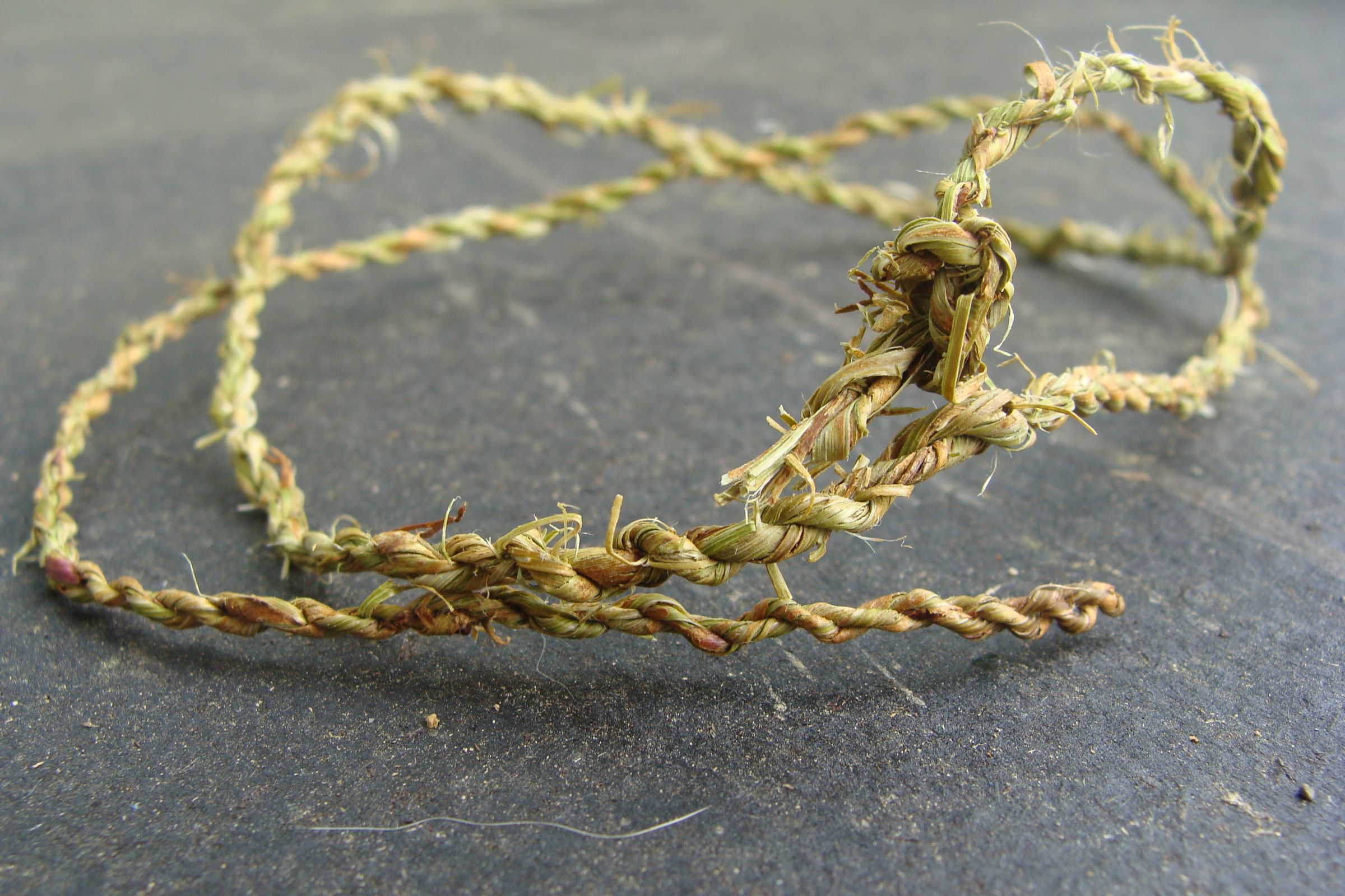 Natural Cordage : 7 Steps (with Pictures) - Instructables