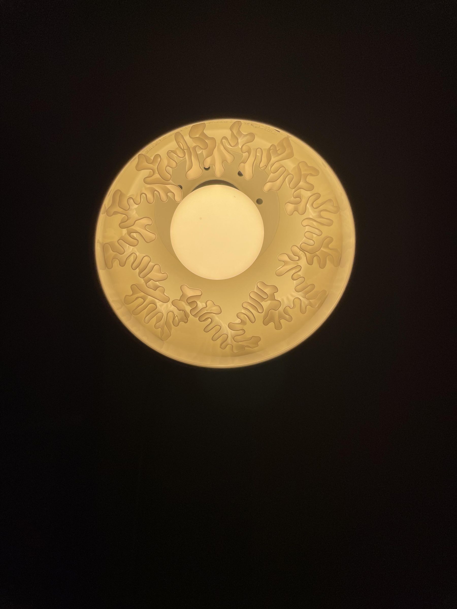 3D Printed Lamp Shade - Differential Growth Design in Grasshopper : 5 Steps (with Pictures ...