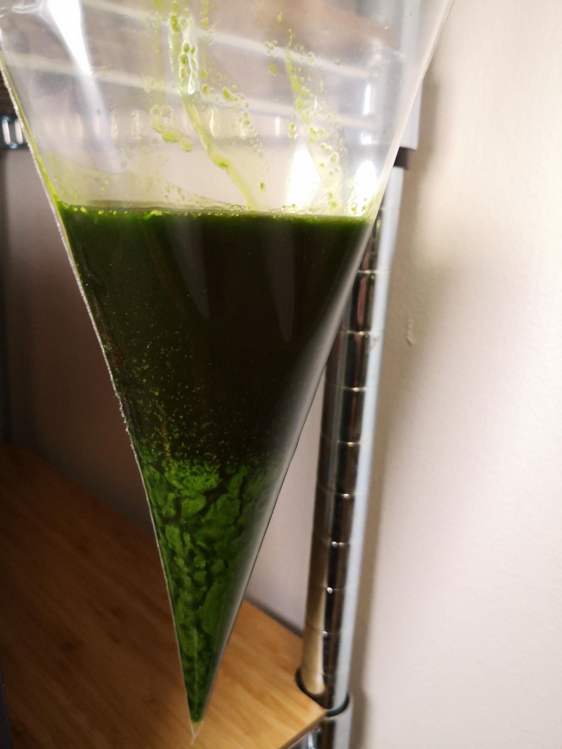 Green Herb Oils : 3 Steps - Instructables