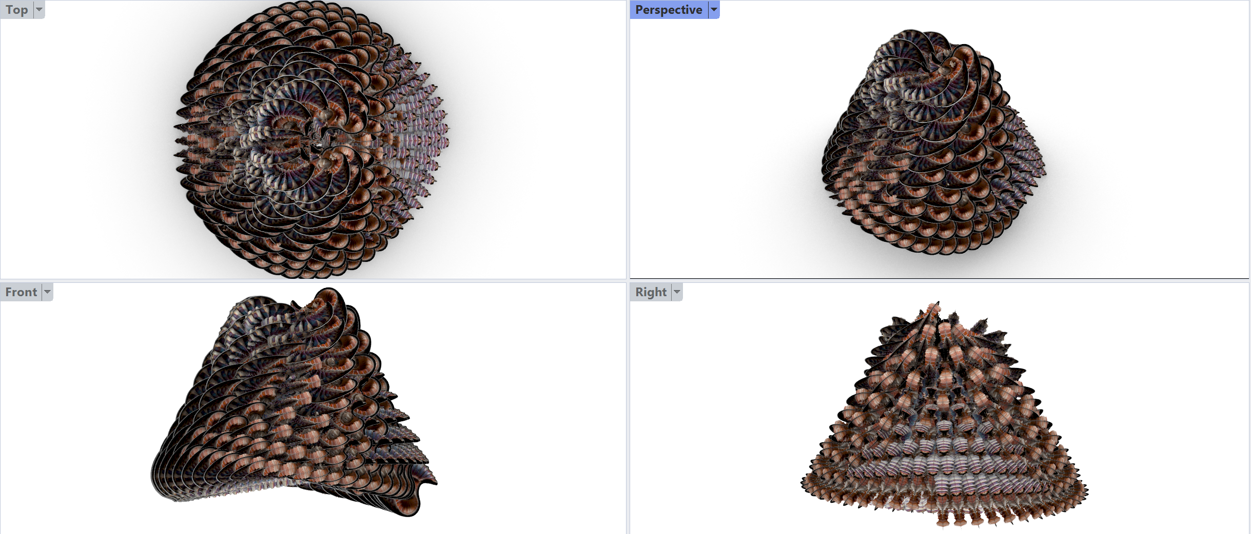 Angulate Wentletrap Inspired Shell : 7 Steps (with Pictures ...