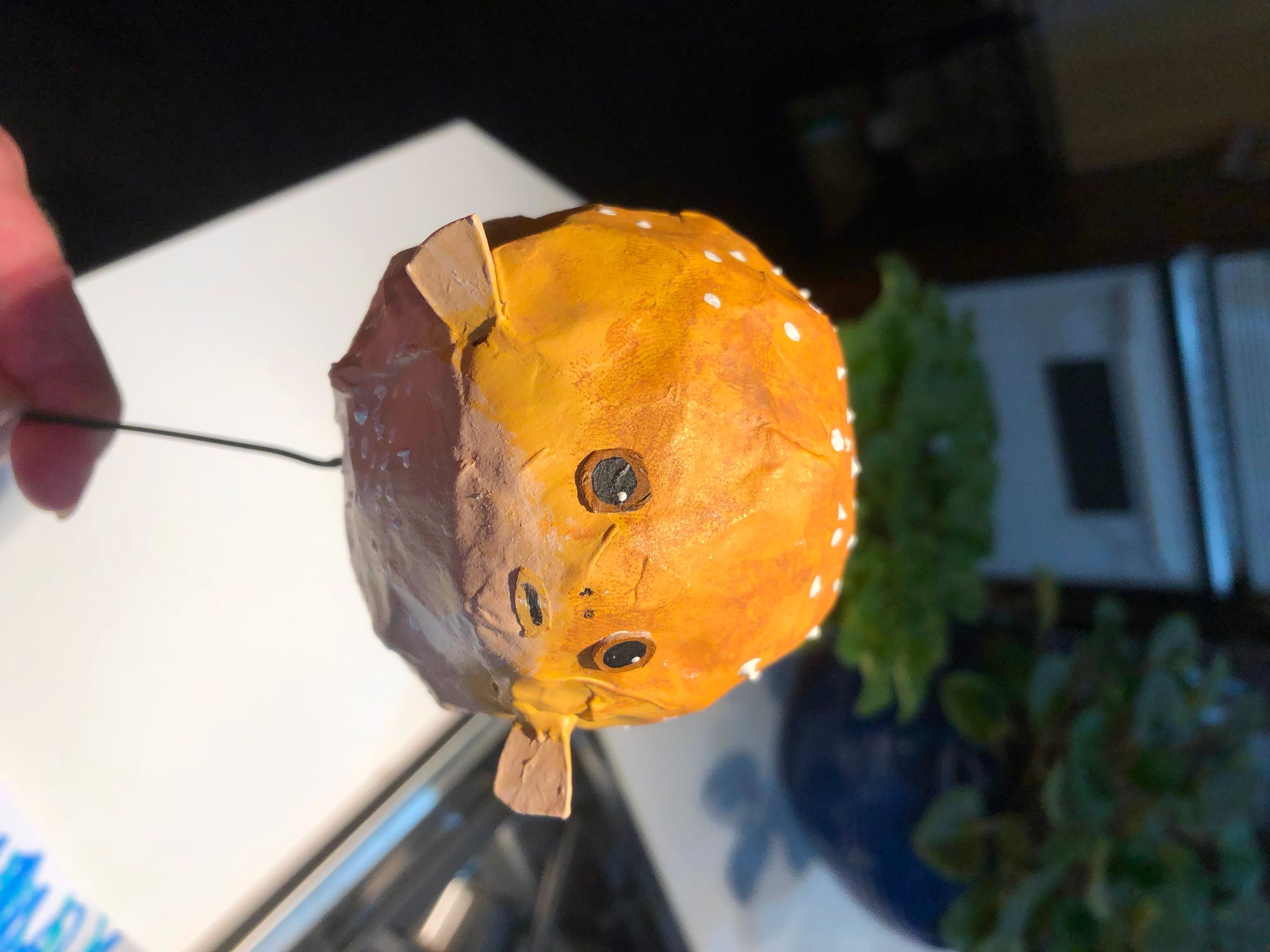 Coral Reef Costume : 7 Steps (with Pictures) - Instructables