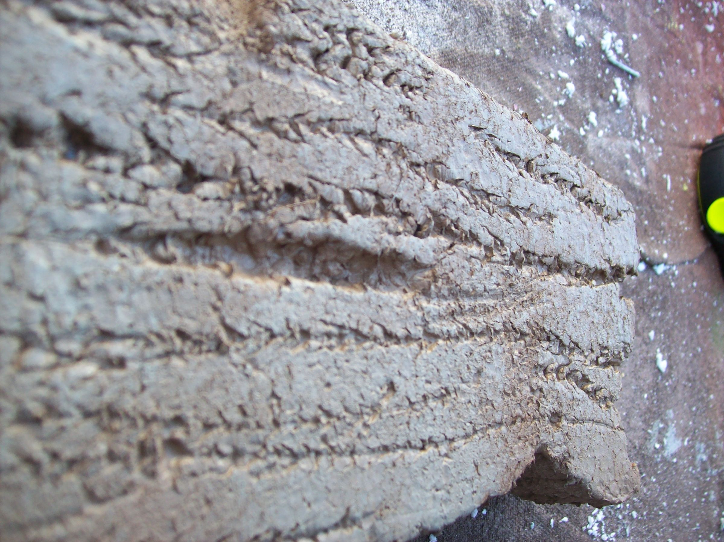 Boarded Windows for Halloween : 5 Steps (with Pictures) - Instructables