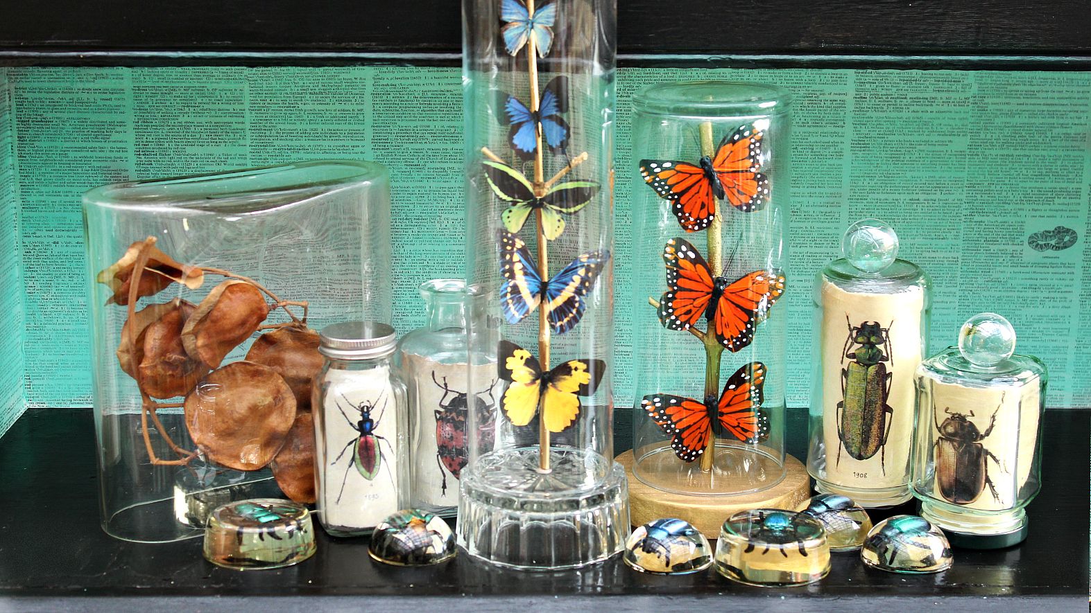Birds and Butterflies Under Glass : 3 Steps - Instructables