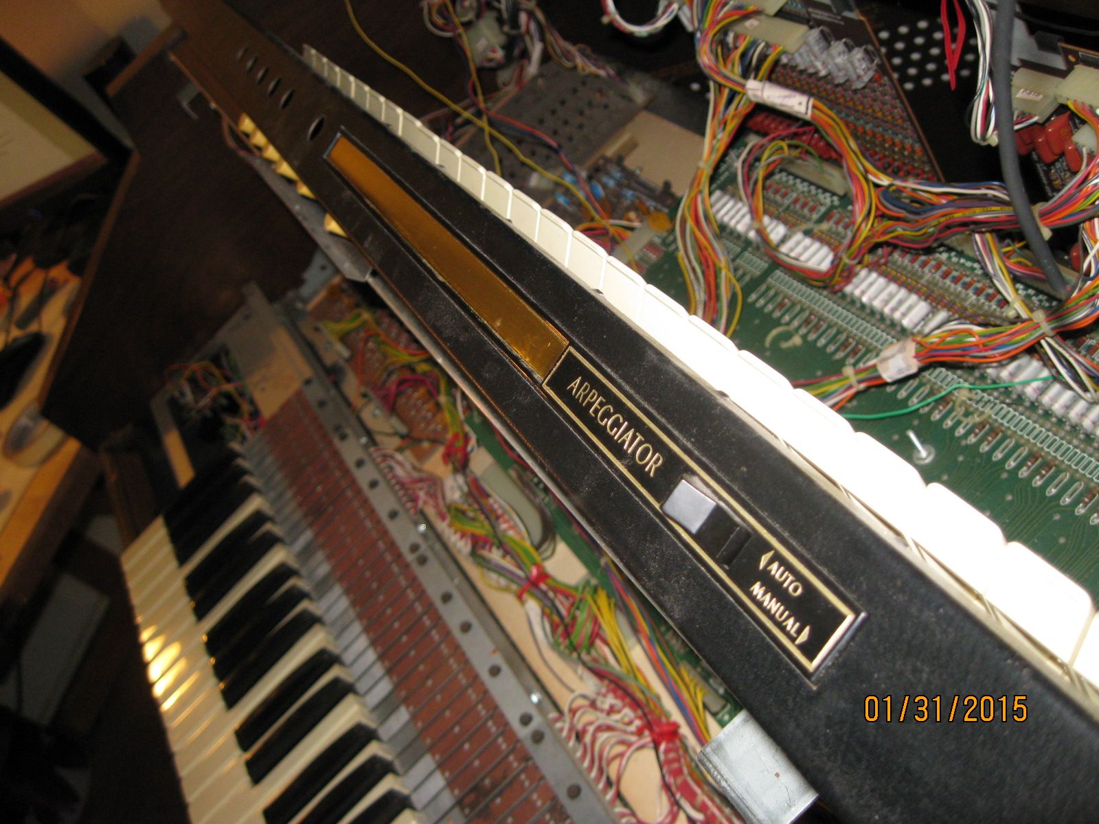 The Organ Donor Project- the Dissection : 5 Steps - Instructables