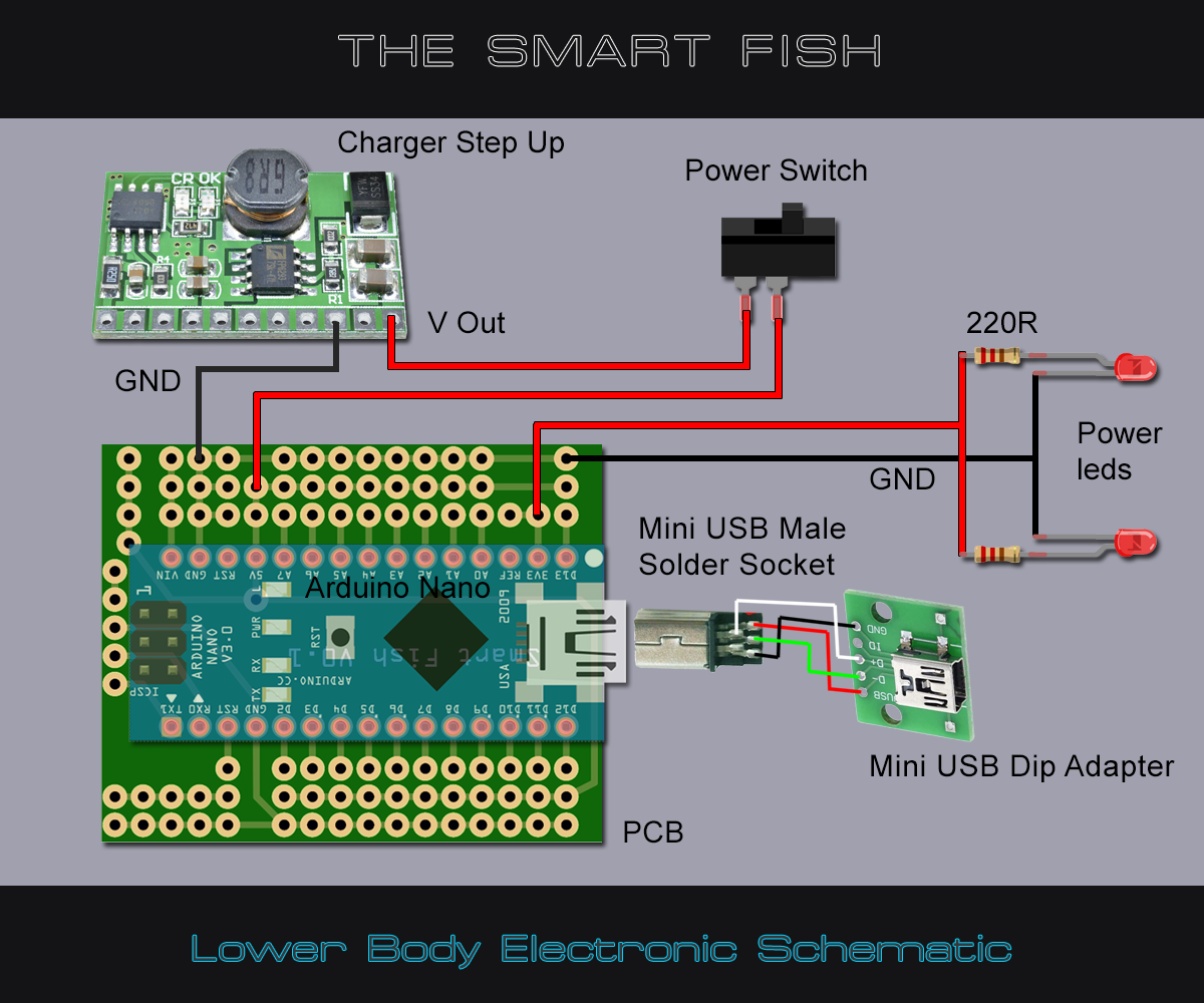The Smart Fish. Programmable Robot : 21 Steps (with Pictures ...