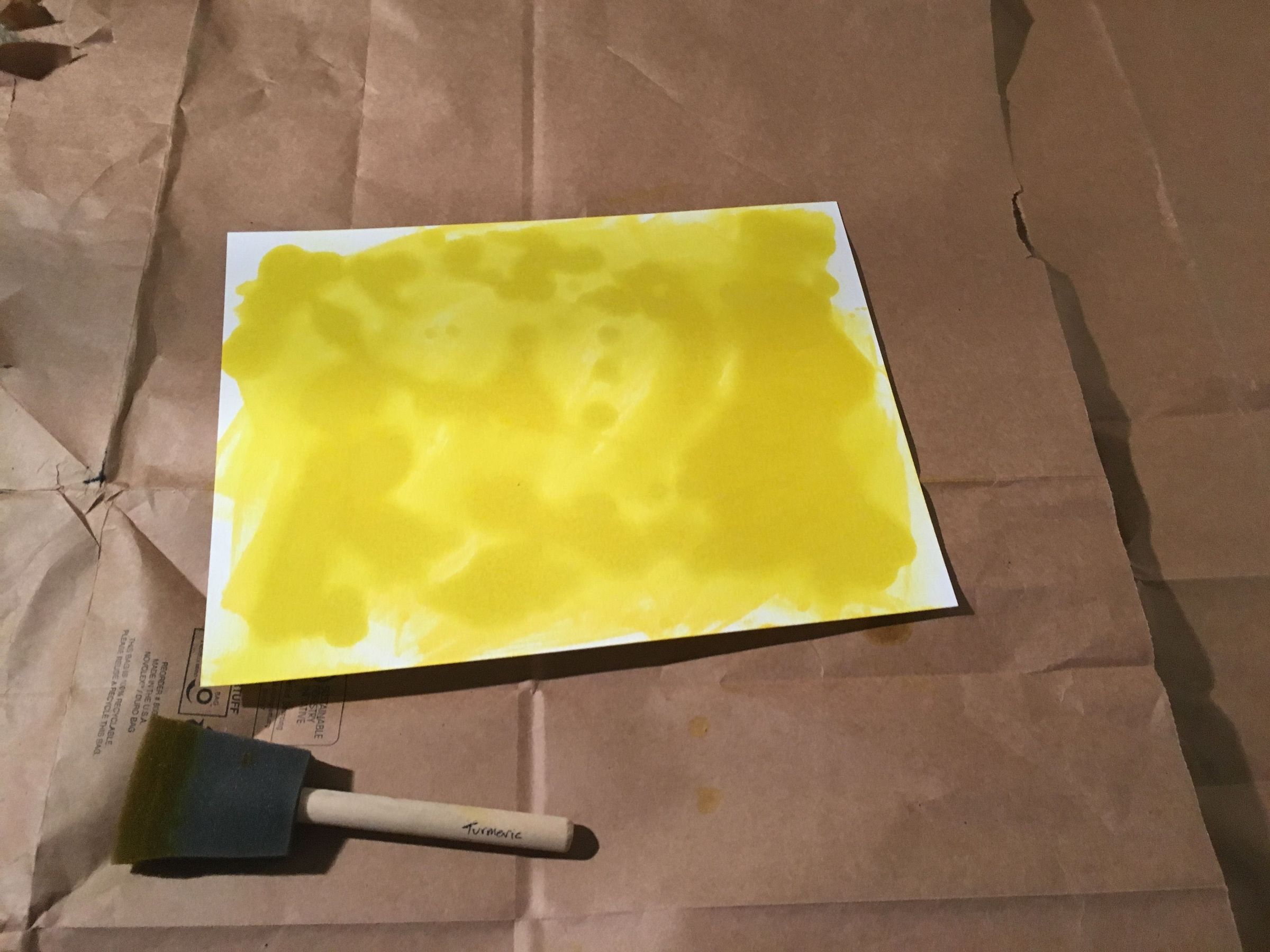 Alternative Photography: Anthotype & Cyanotype : 5 Steps (with Pictures ...