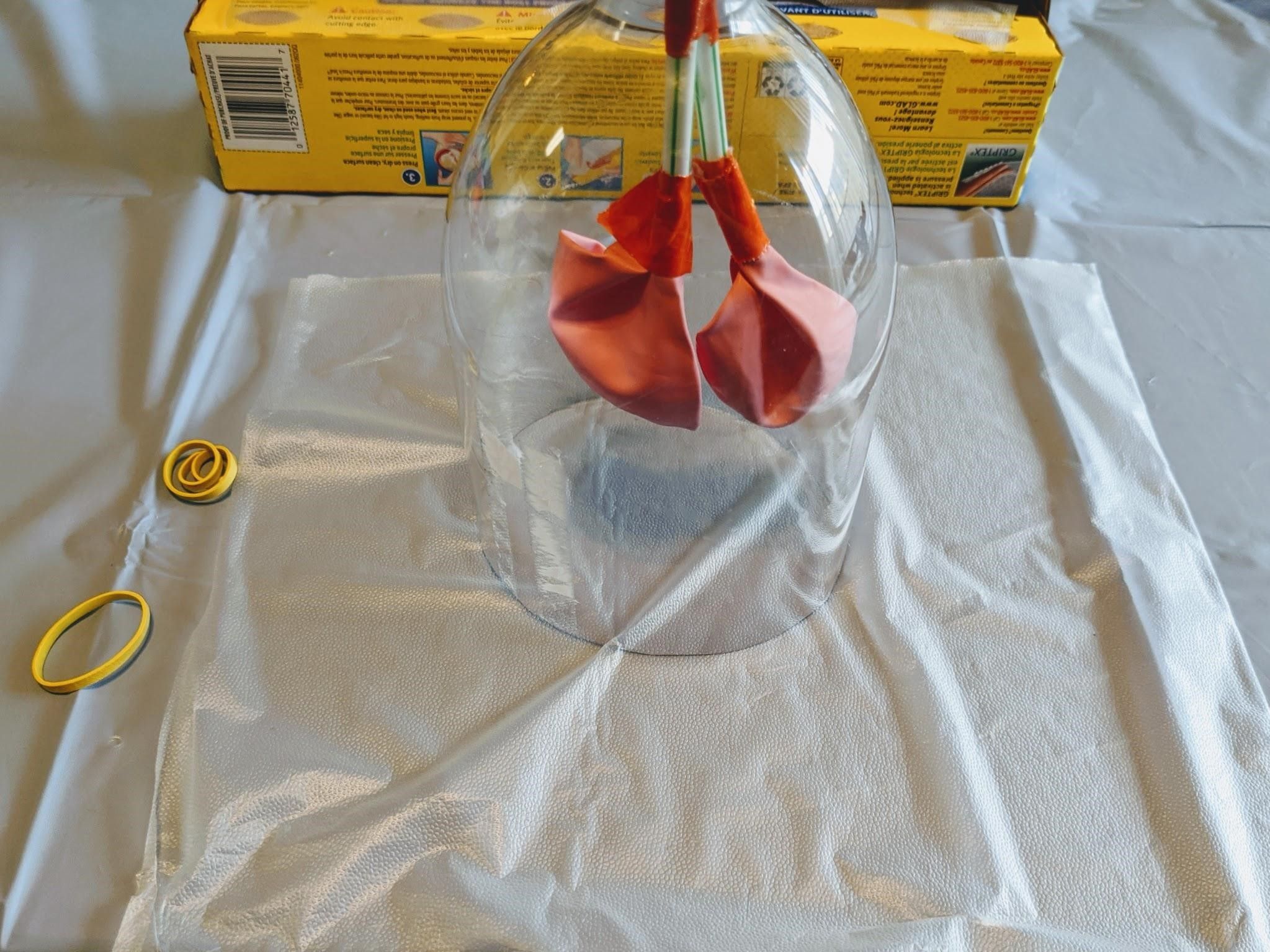 Make a Human Lung Model : 9 Steps (with Pictures) - Instructables