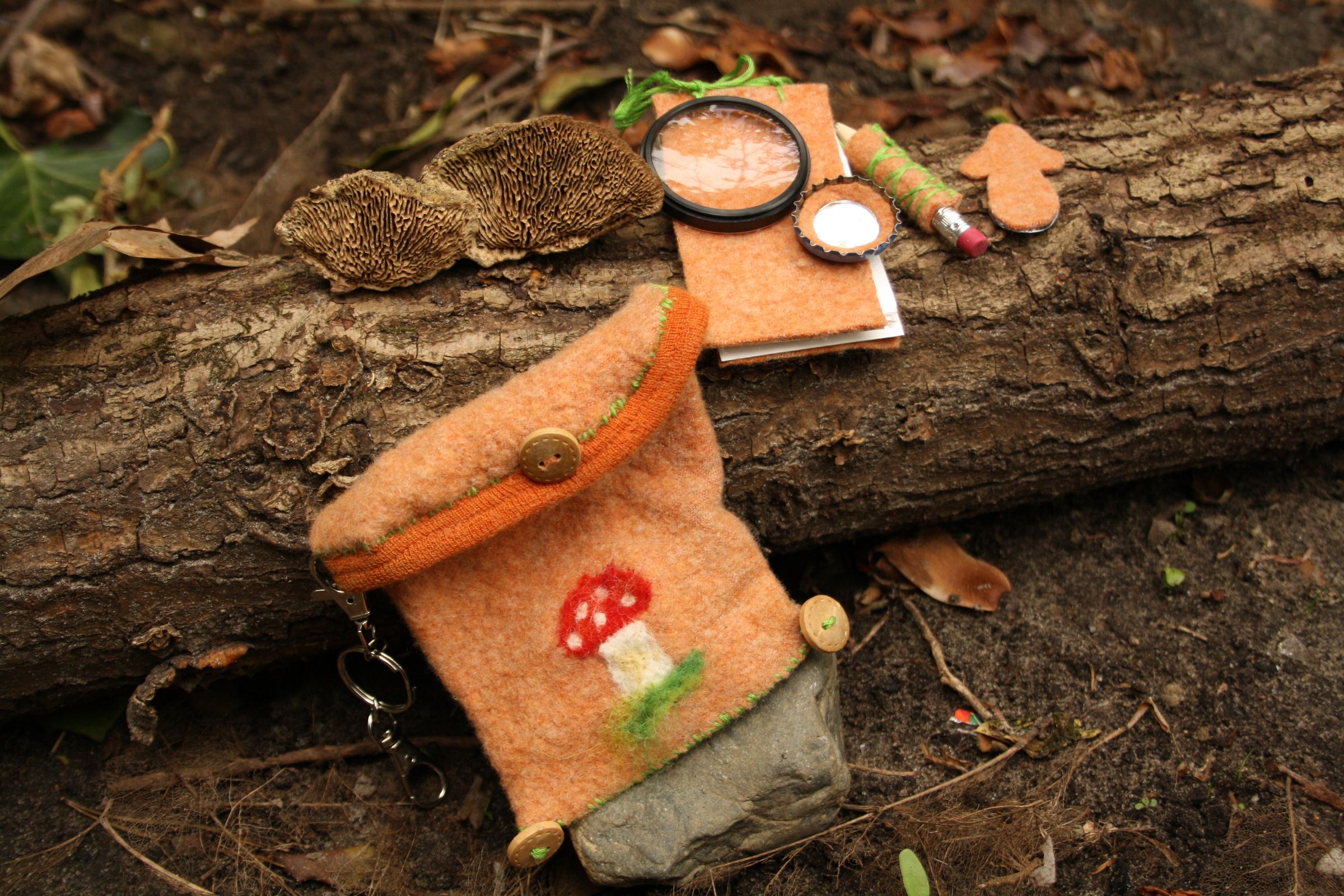 Mushroom Determination Kit, Pocket Sized and Made From Scrap : 9 Steps ...