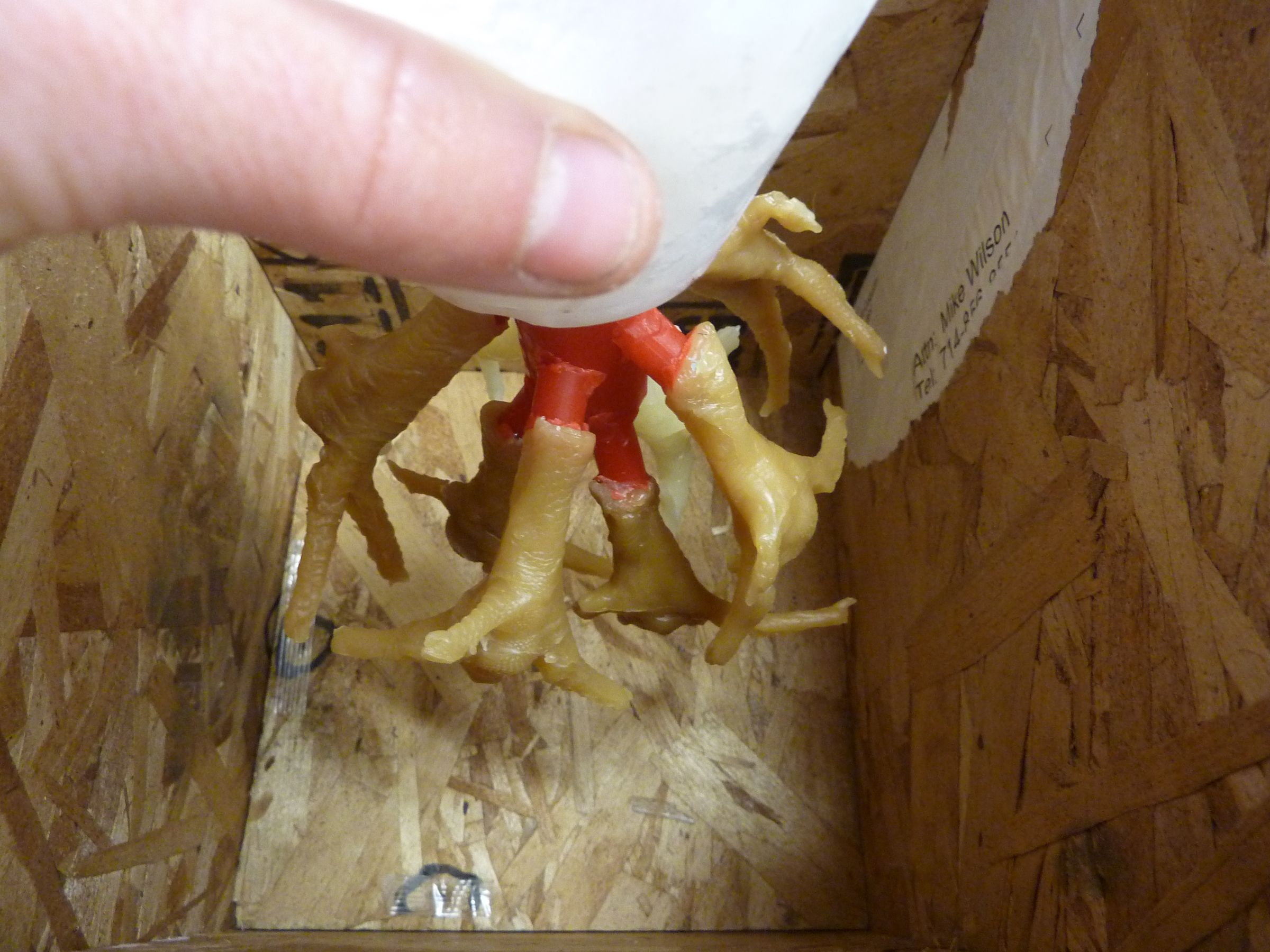 Making a Wax Chicken Foot Tree : 6 Steps (with Pictures) - Instructables