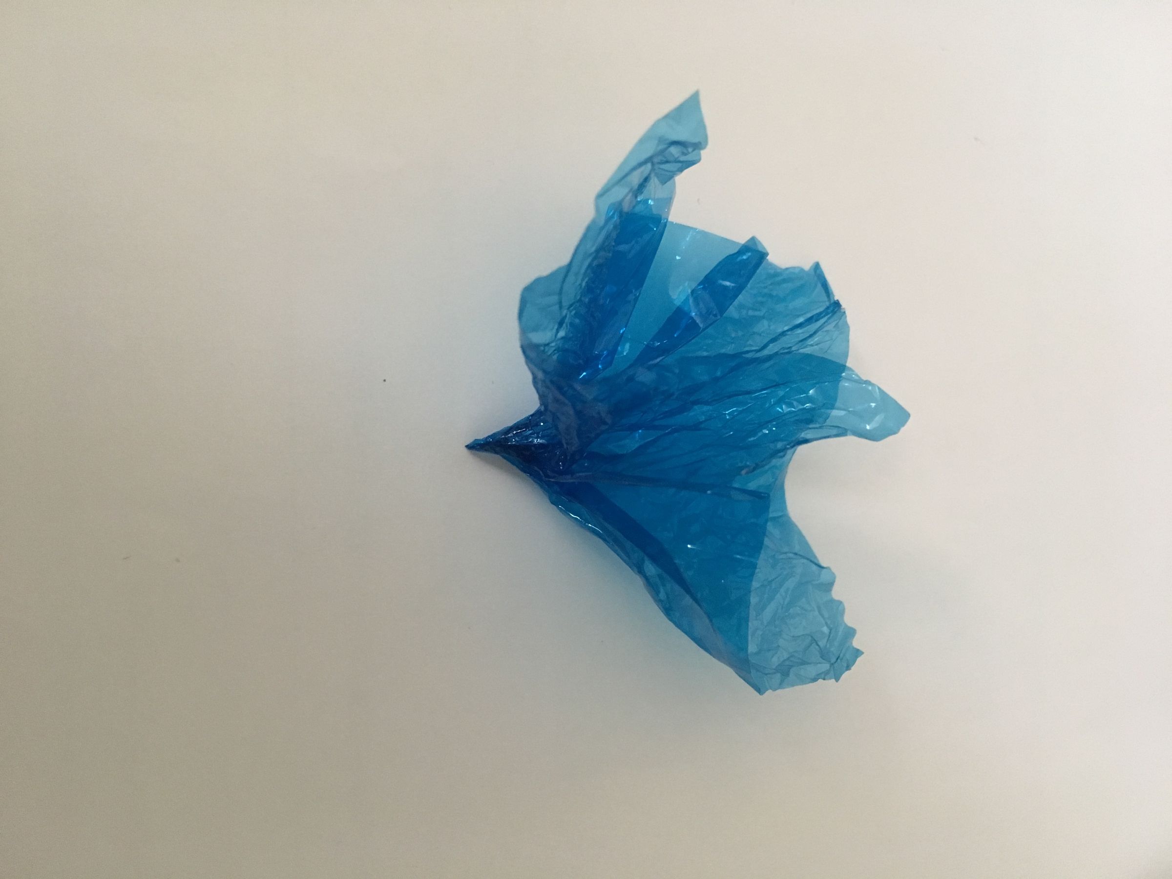 Cellophane Flowers : 5 Steps (with Pictures) - Instructables