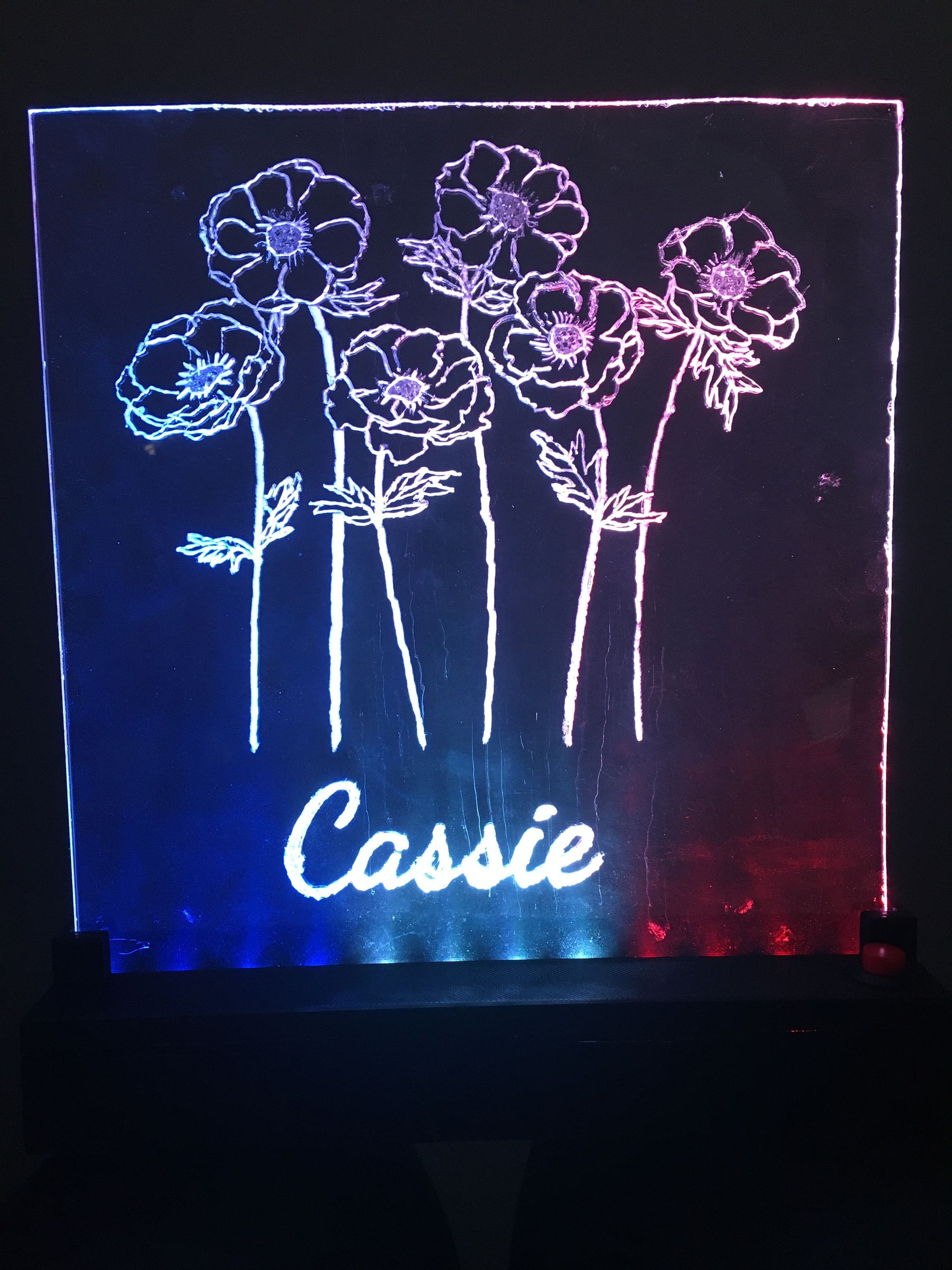 3D Printed LED Plexiglass Sign (Color Changing) : 5 Steps - Instructables