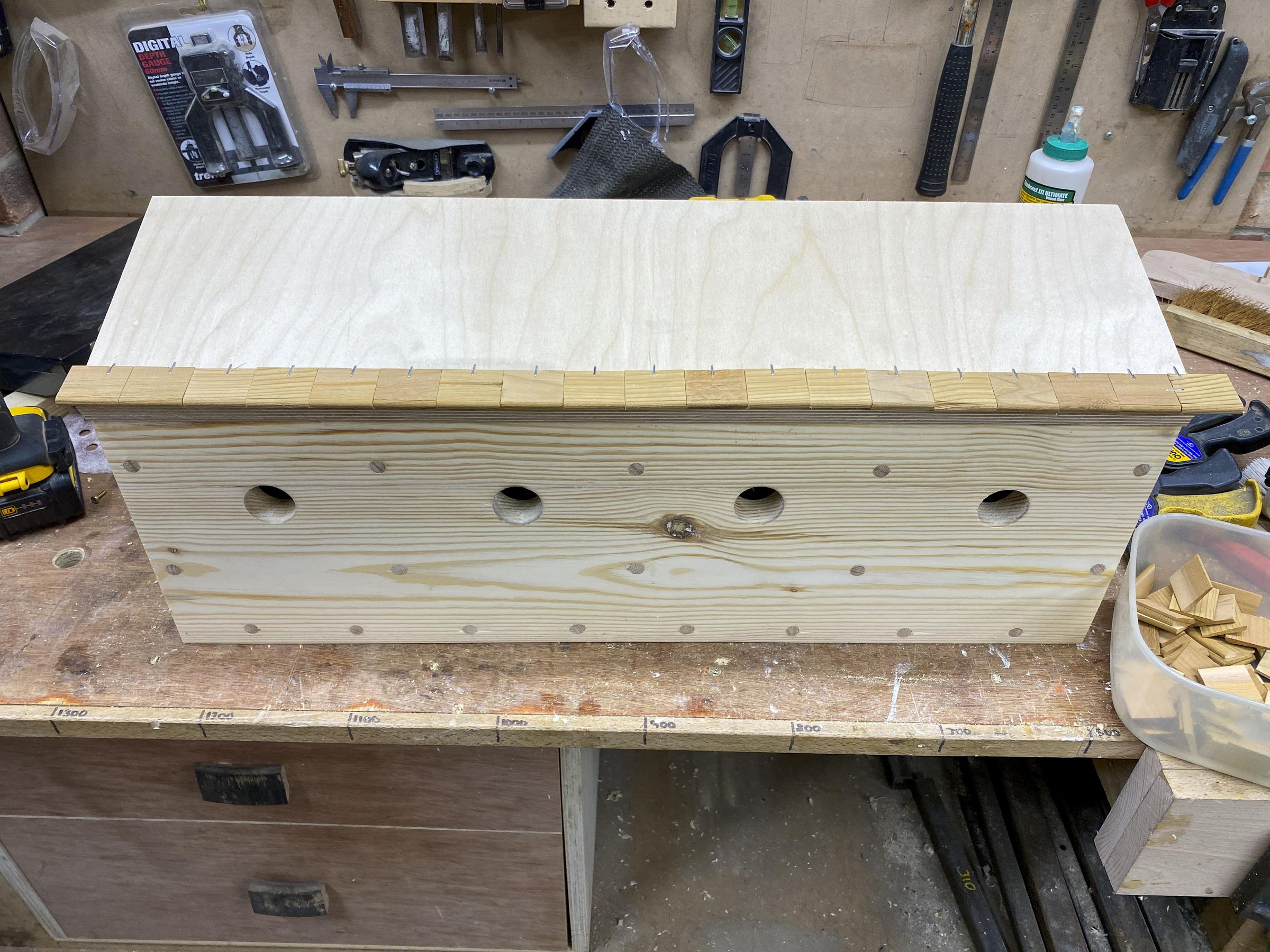 🐦 House Sparrow 🐦 Bird Box Terrace 🐦 : 11 Steps (with Pictures ...