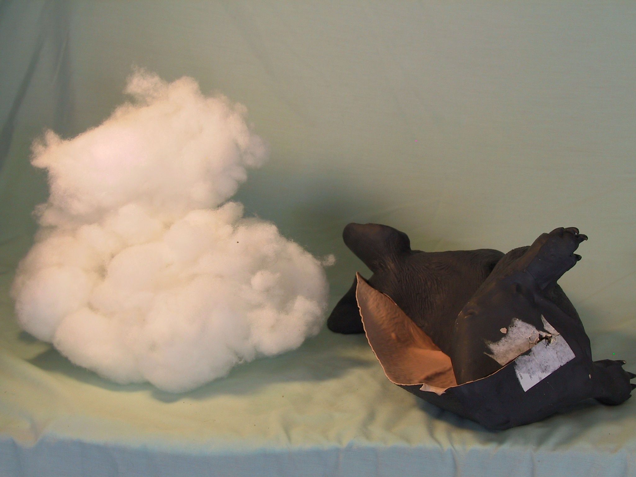 Animatronic Rat : 7 Steps (with Pictures) - Instructables