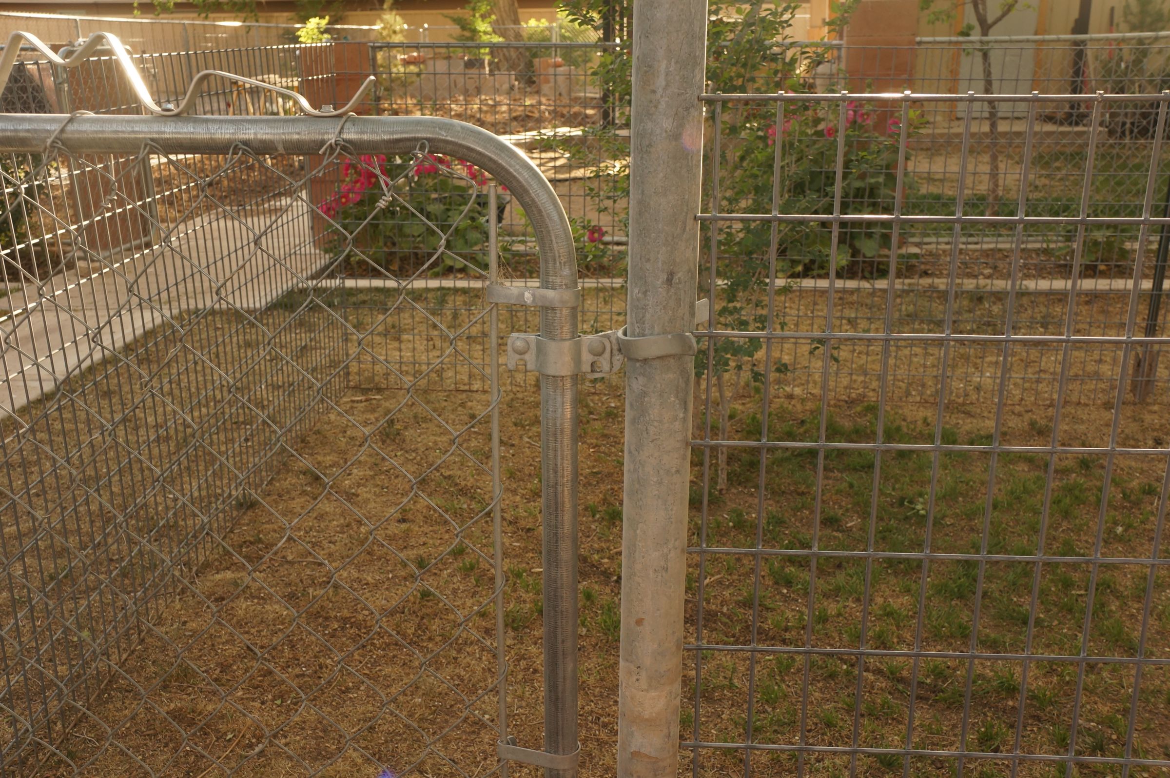 Cheap Easy Dog Run to Build : 6 Steps - Instructables