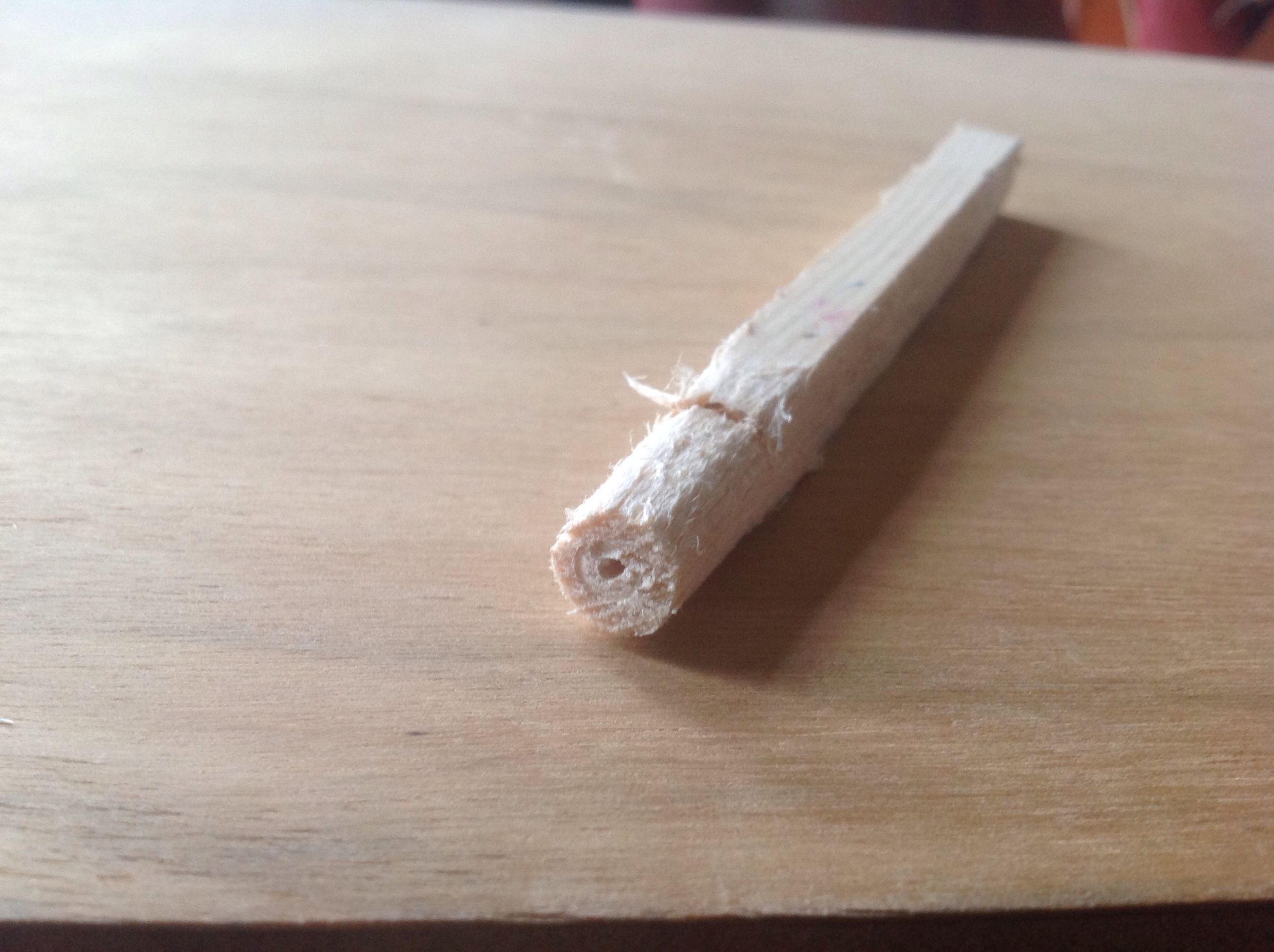 Awesome Fishing Float From Elderberry Wood : 6 Steps (with Pictures ...