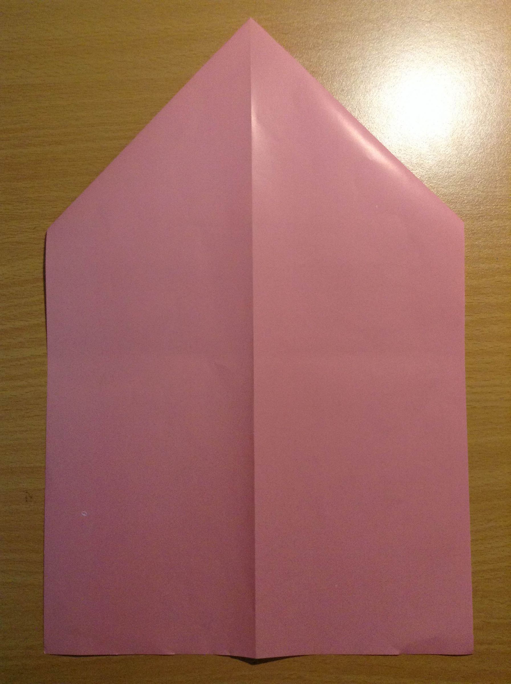 How to Make a Canard Paper Airplane : 11 Steps - Instructables