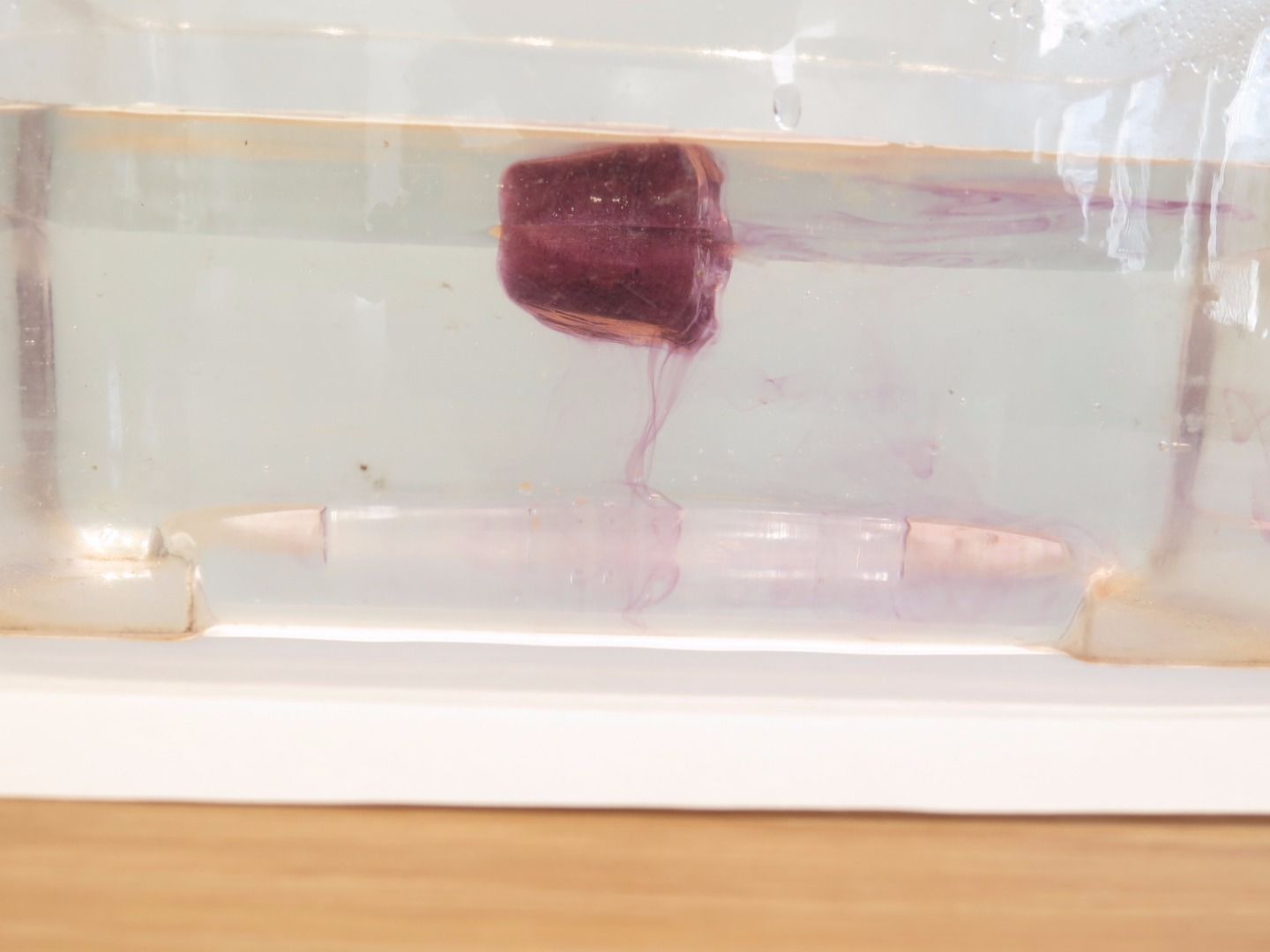 Water Lava Lamp (learning Density) : 3 Steps - Instructables