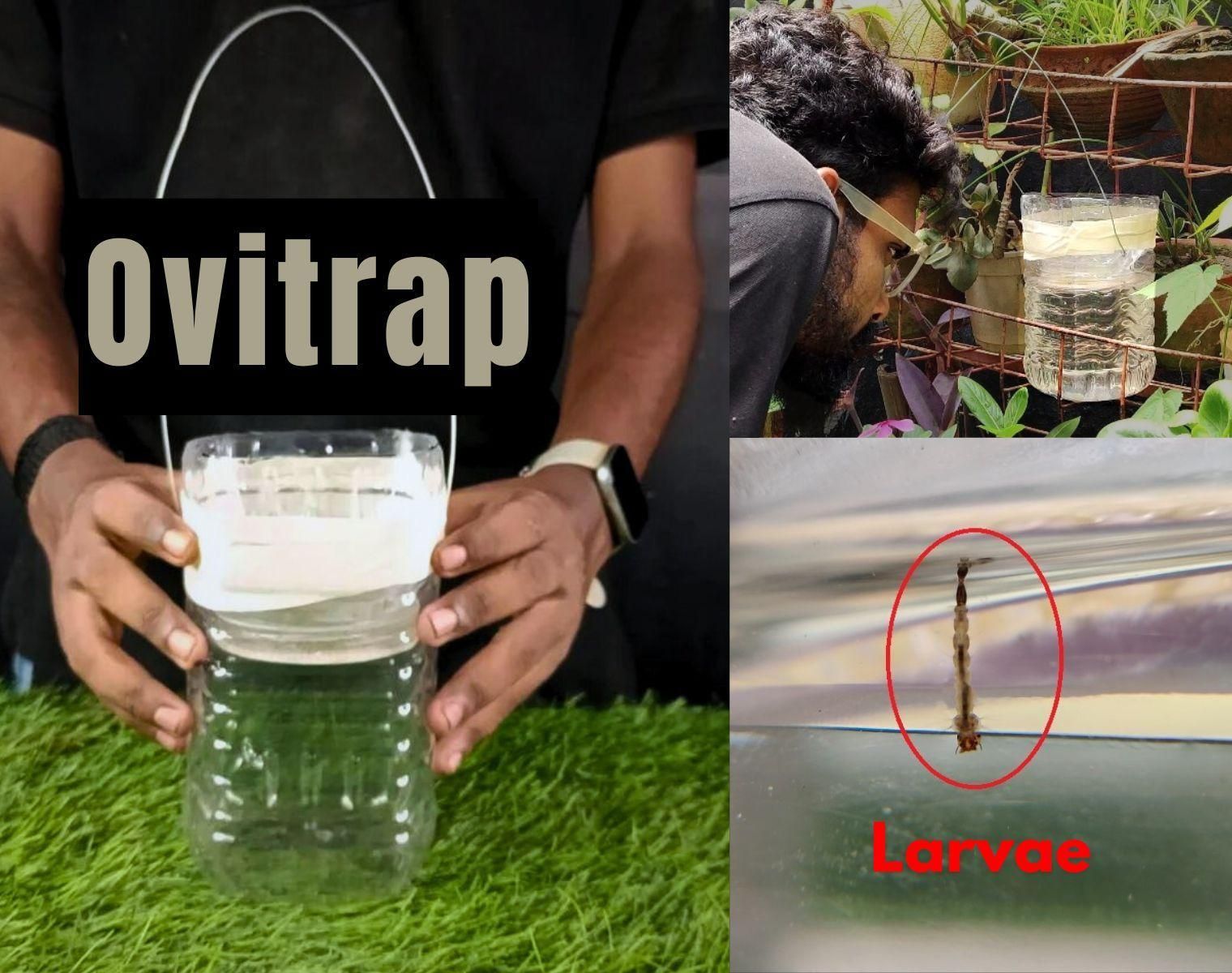 Monsoon Mosquito Control - DIY Ovitraps to Reduce Mosquito Populations ...