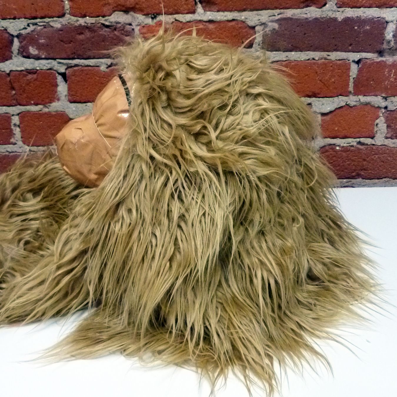 Lion Dog Costume : 5 Steps (with Pictures) - Instructables