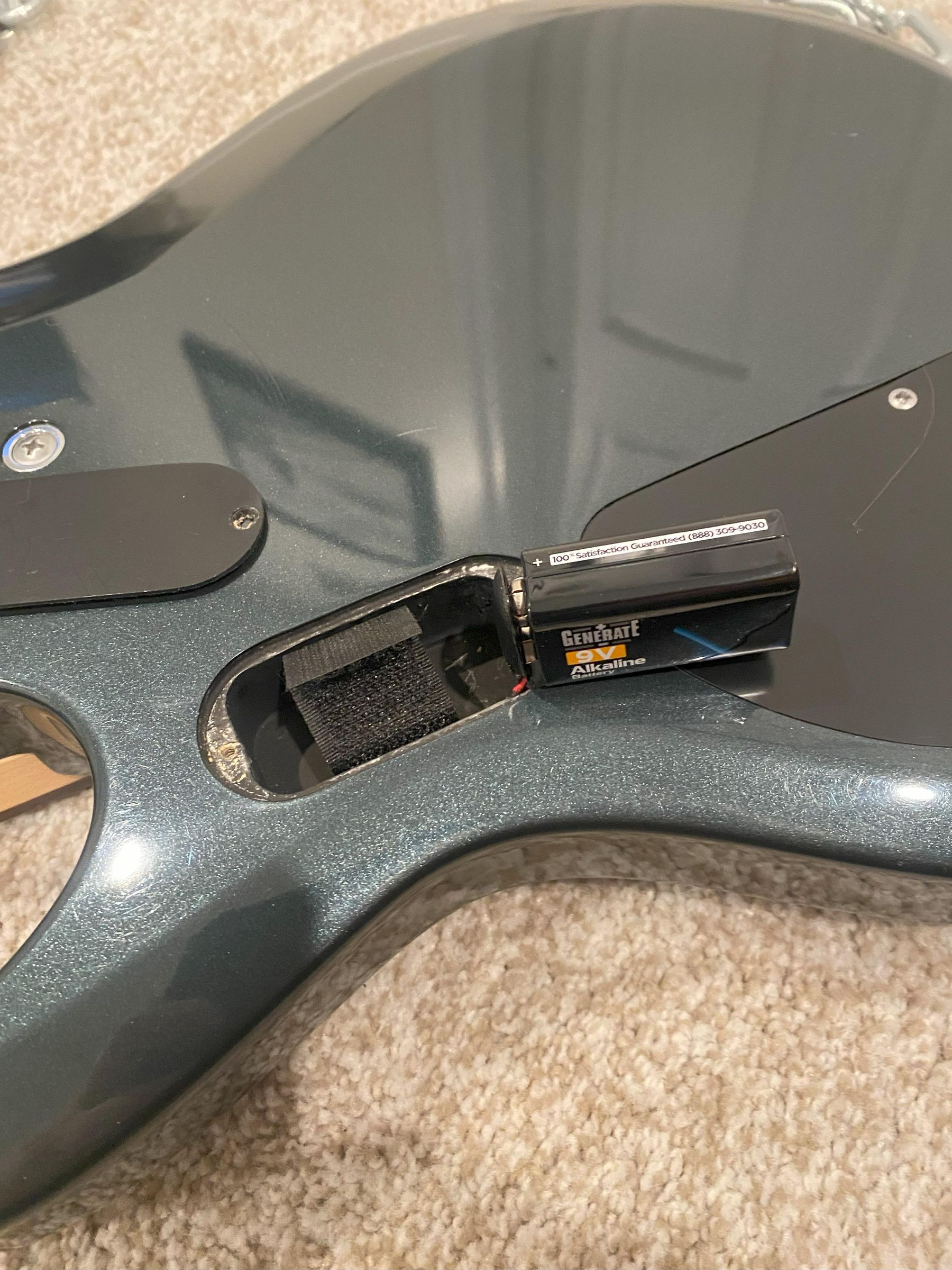 Bass Care 101: the Complete Guide to Basic Bass Care and Maintenance ...